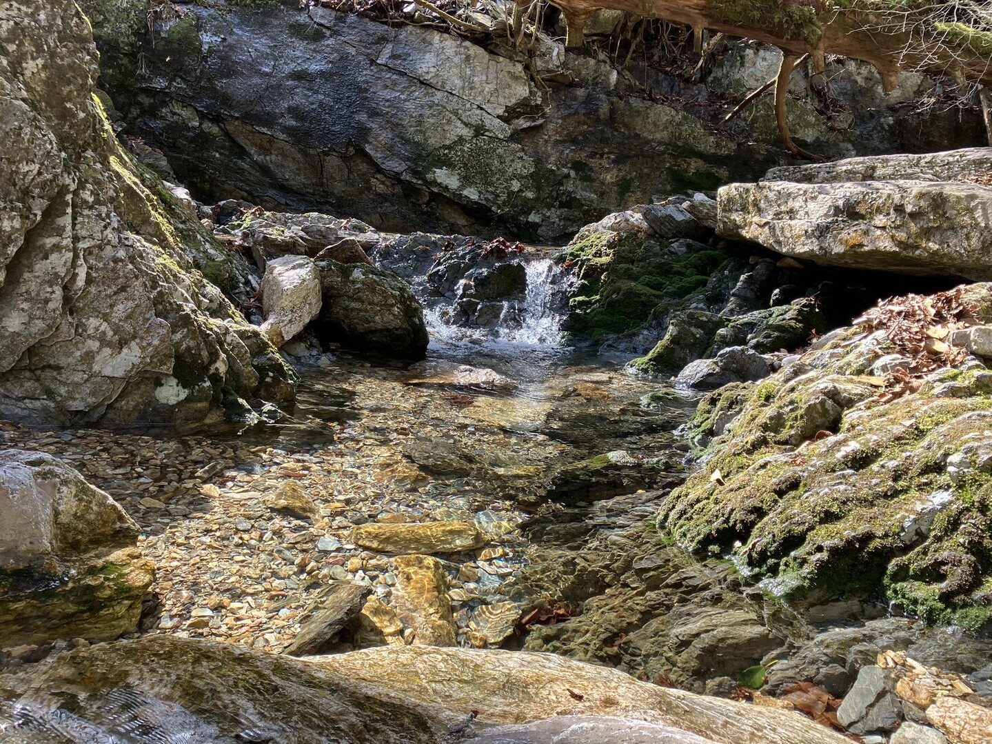 工石山でクールダウン / toshi-kさんの工石山の活動データ | YAMAP / ヤマップ