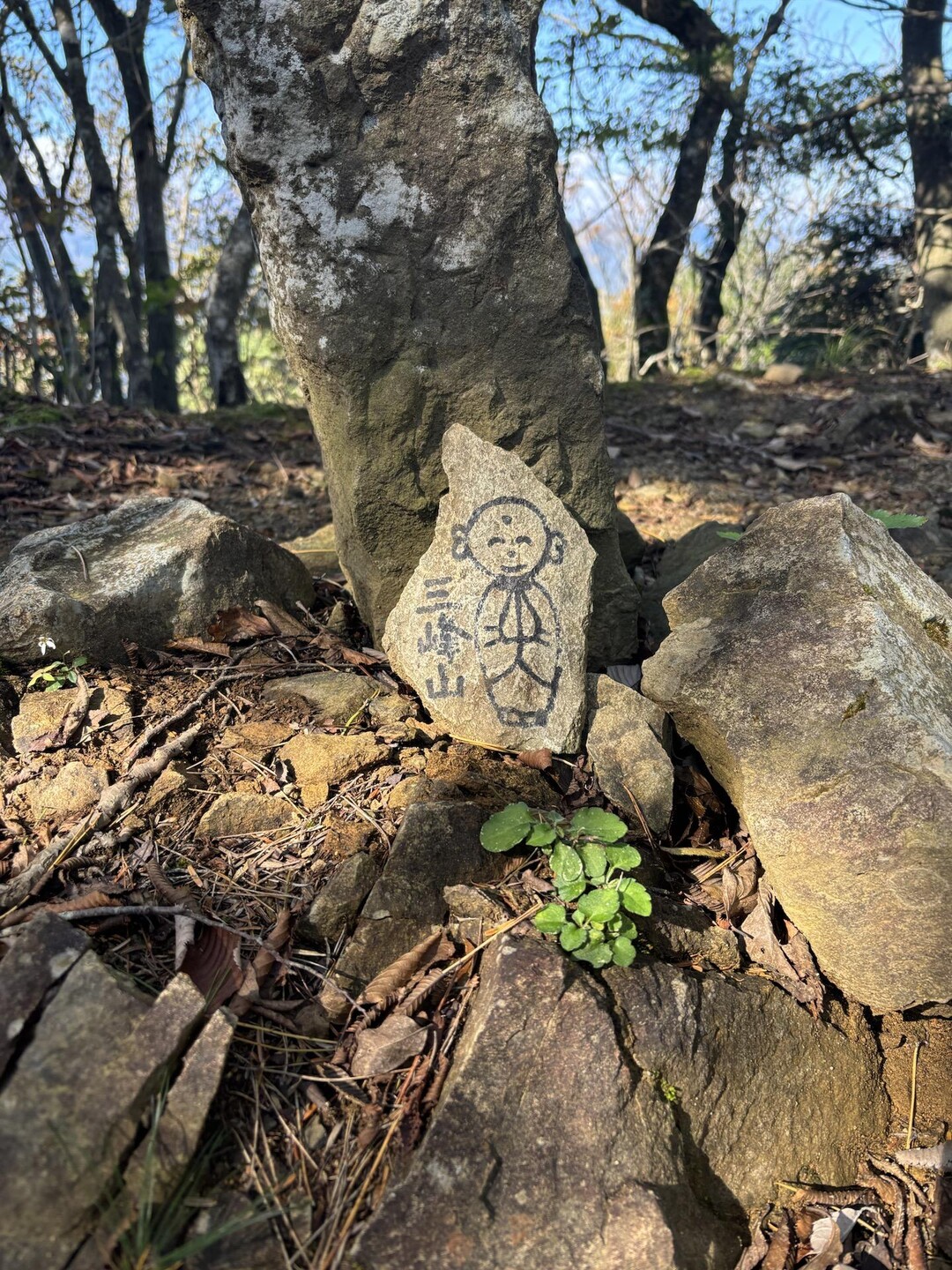 三峰山(大山三峰山)・七沢山・矢草ノ頭・大山 / fujitakさんの大山の活動データ | YAMAP / ヤマップ