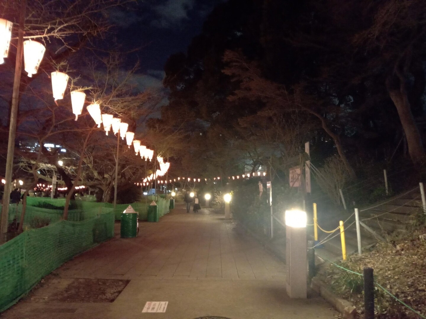 摺鉢山・大仏山 / arakawa🌊さんの観音山の活動データ | YAMAP / ヤマップ