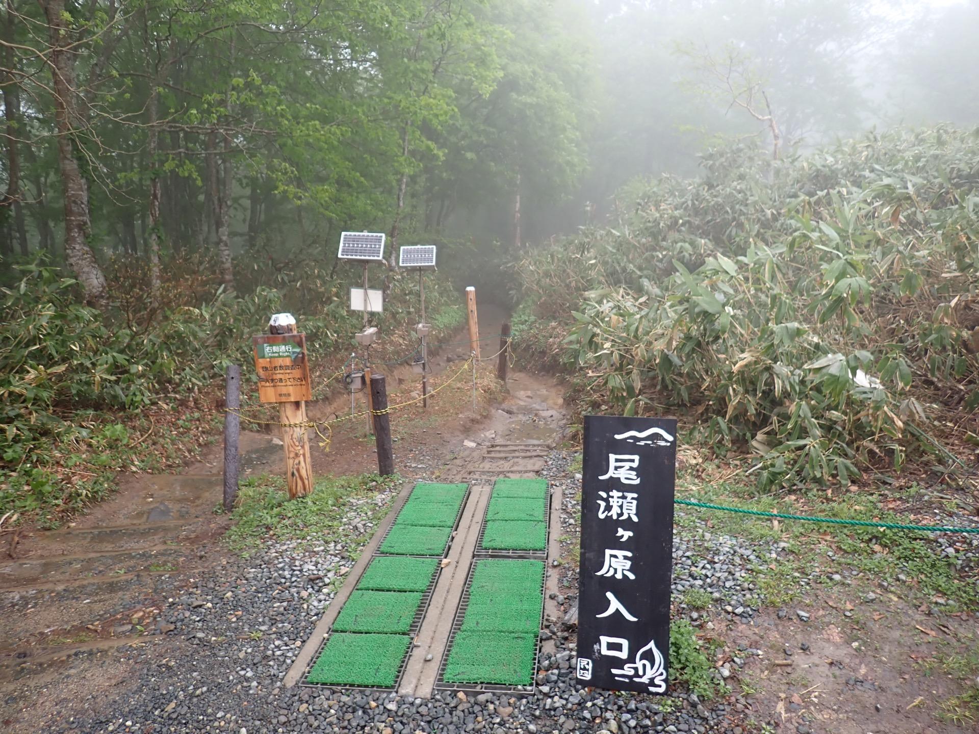 尾瀬ヶ原-2025-06-10 / YASUさんの尾瀬・燧ヶ岳の活動日記 | YAMAP / ヤマップ