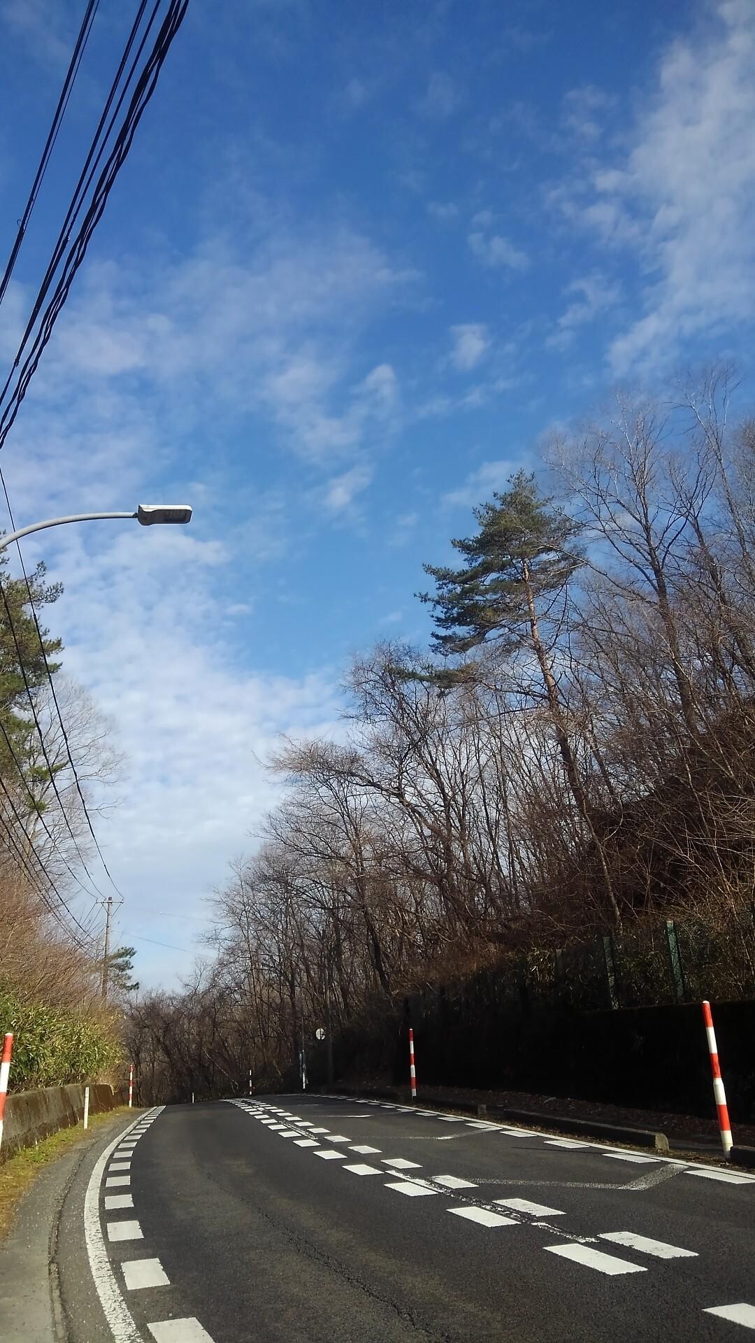 山納め｡ 入山15秒でドライ幼菌見っける... / gk-cnさんのモーメント | YAMAP / ヤマップ