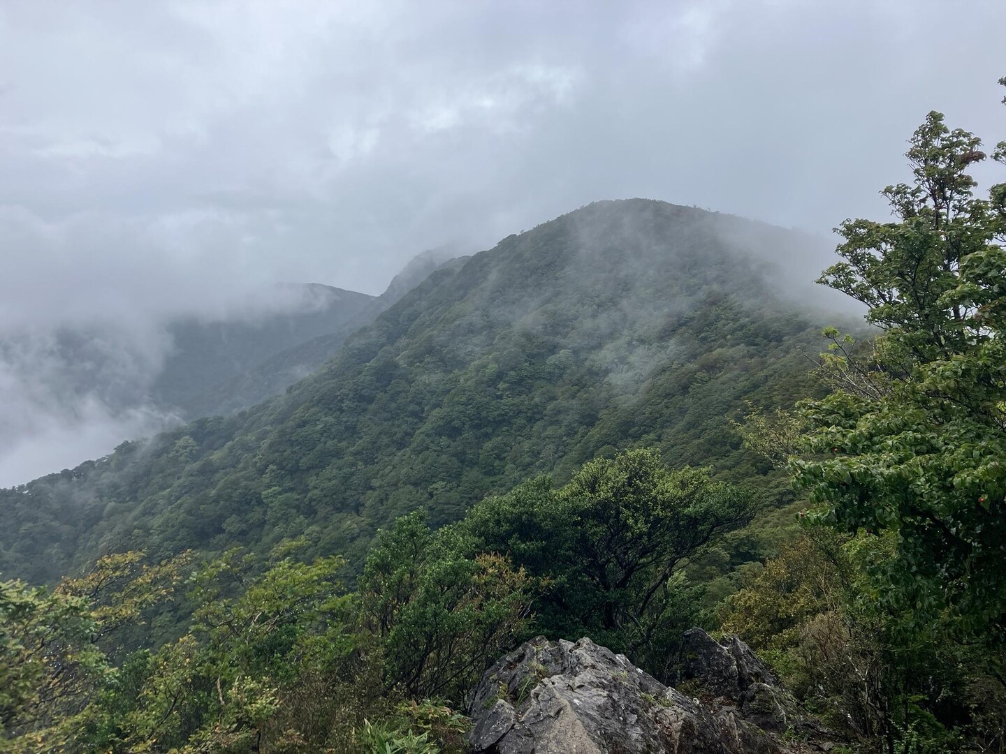 万二郎岳（天城山）・万三郎岳（天城山） / Shun-Kさんの天城山・鉢ノ山・三筋山の活動データ | YAMAP / ヤマップ