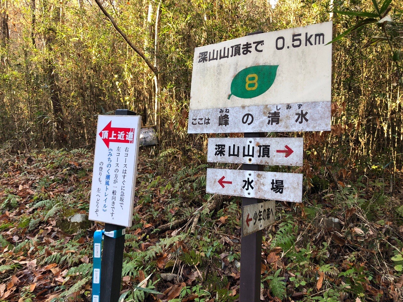 MOMOさんの投稿したフィールドメモ | YAMAP / ヤマップ