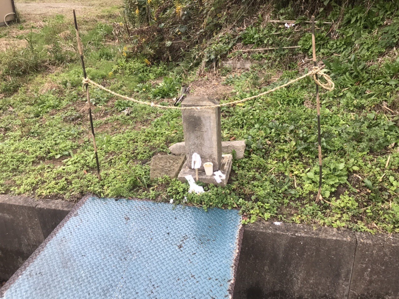 bamboo.misa🎋さんの投稿したフィールドメモ | YAMAP / ヤマップ