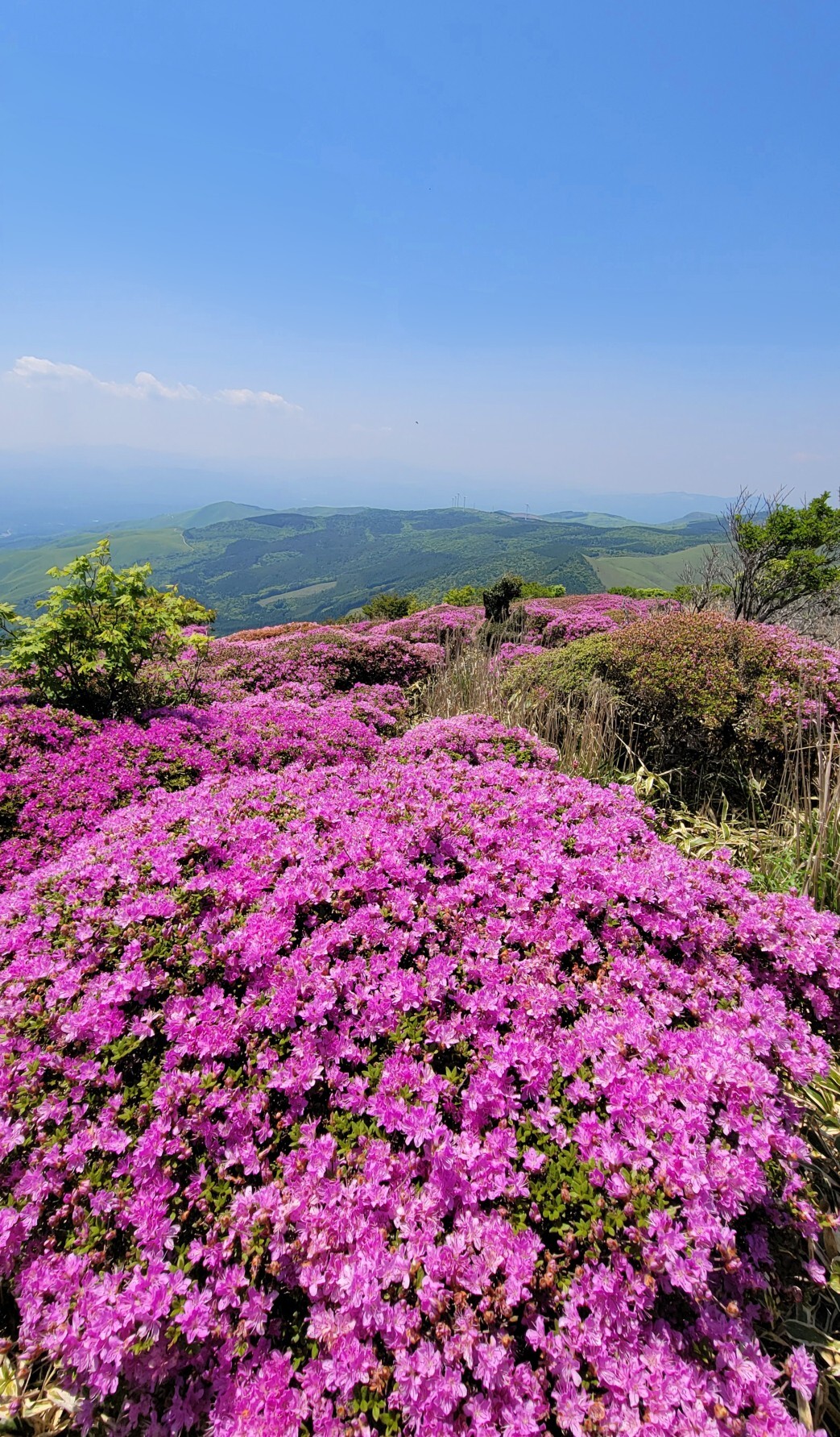 猟師岳でジュージュー 🥩🍴🔥 / wakky!!さんの涌蓋山・猟師山の活動データ | YAMAP / ヤマップ