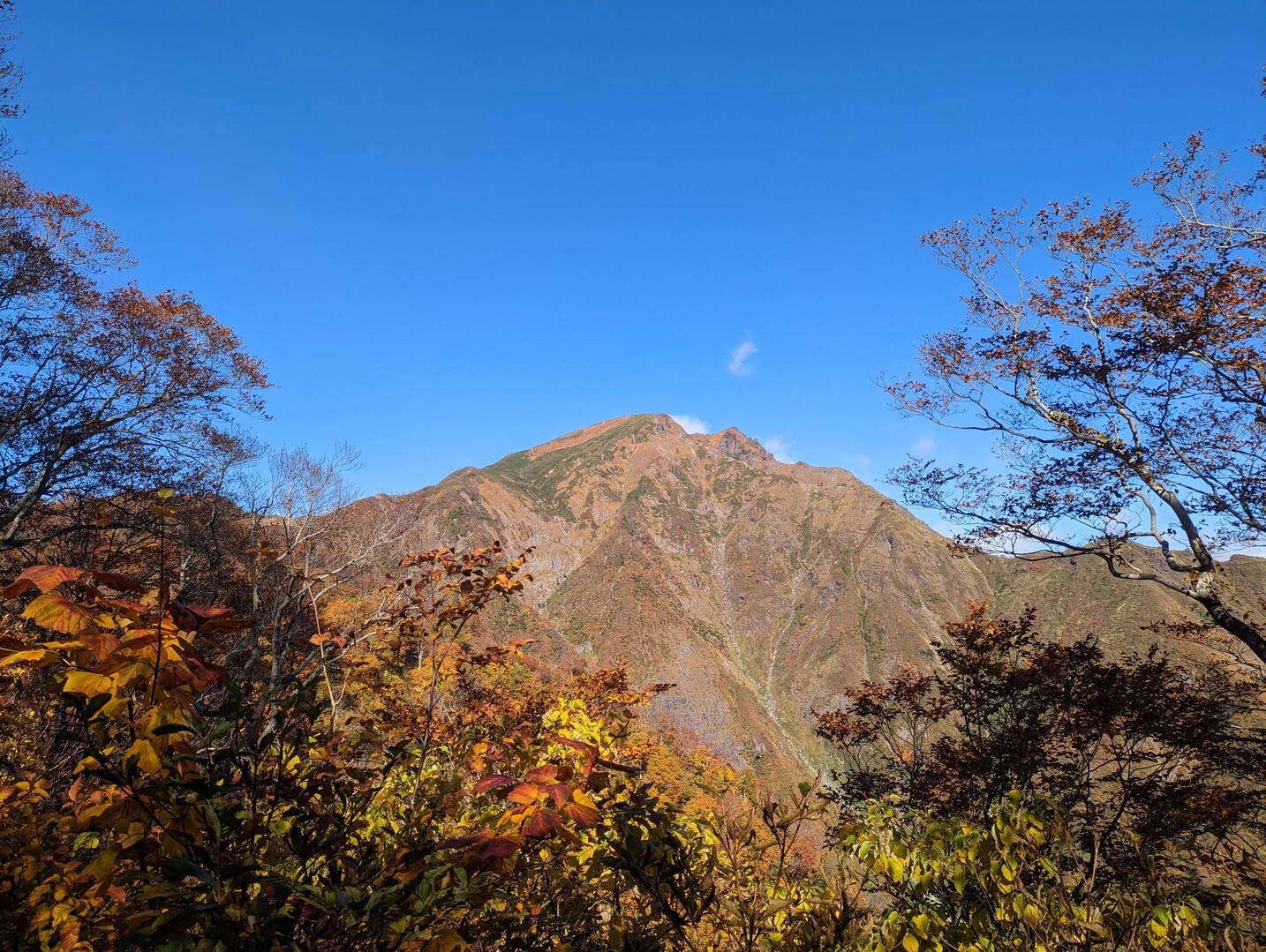 YAMAP100座目は谷川岳（トマの耳・オキノ耳） / mz37さんの谷川岳・七ツ小屋山・大源太山の活動データ | YAMAP / ヤマップ