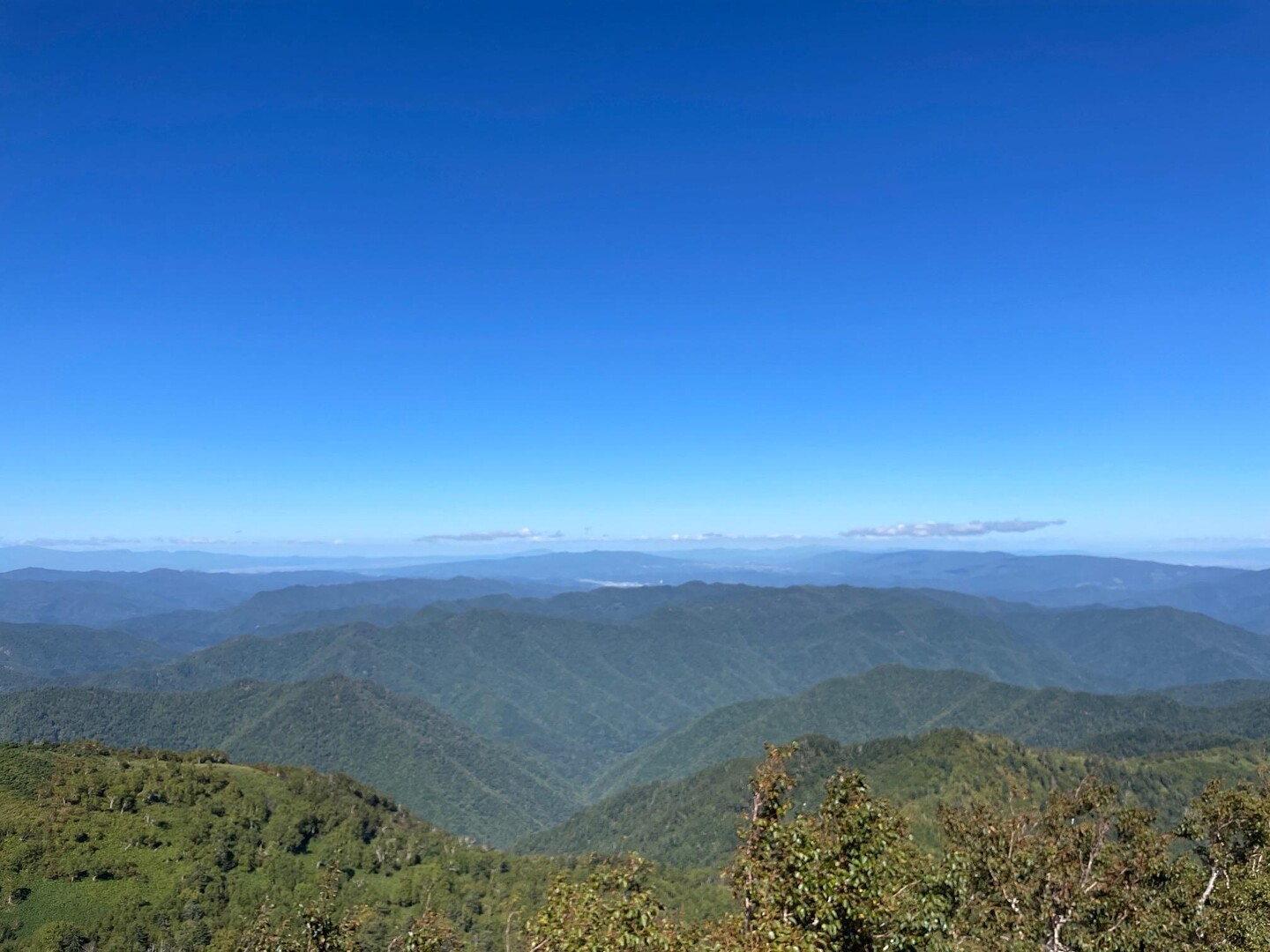 富良野トレイルラン2023 29km ... / kanさんのモーメント | YAMAP / ヤマップ