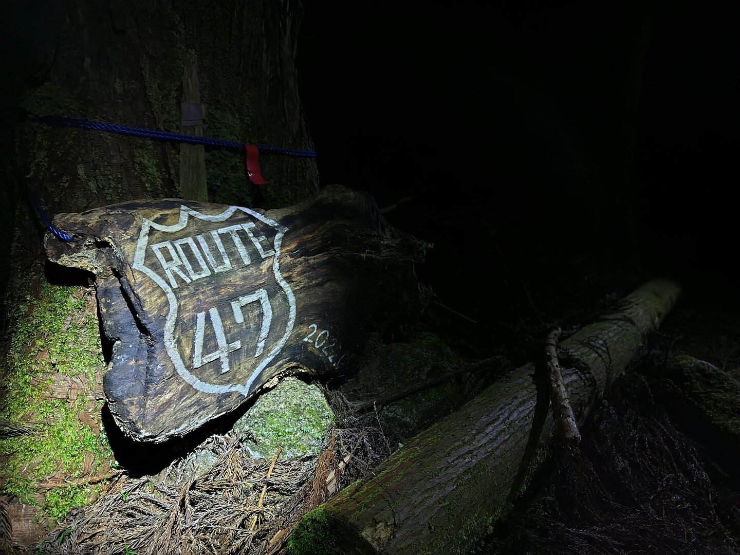 金剛山 47番⤴もみじ谷⤵ / PAGUさんの葛城修験エリアマップ（金剛山周辺）の活動データ | YAMAP / ヤマップ