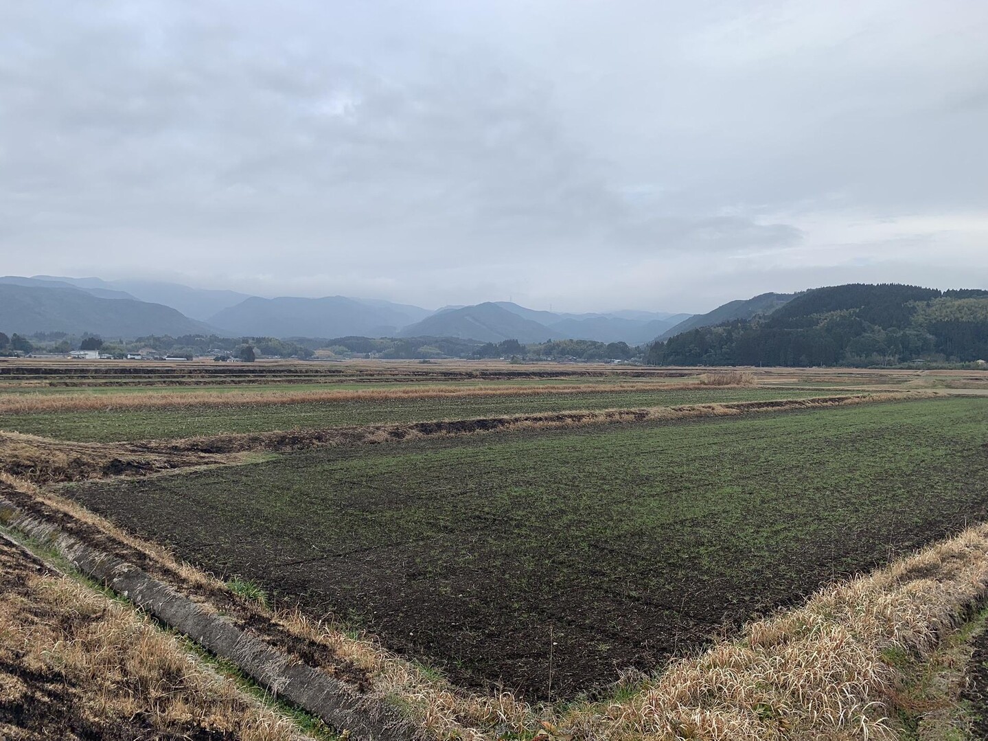 サイクリング-温泉-2024-01-19 / builder_sinさんのウォーキングの活動データ | YAMAP / ヤマップ