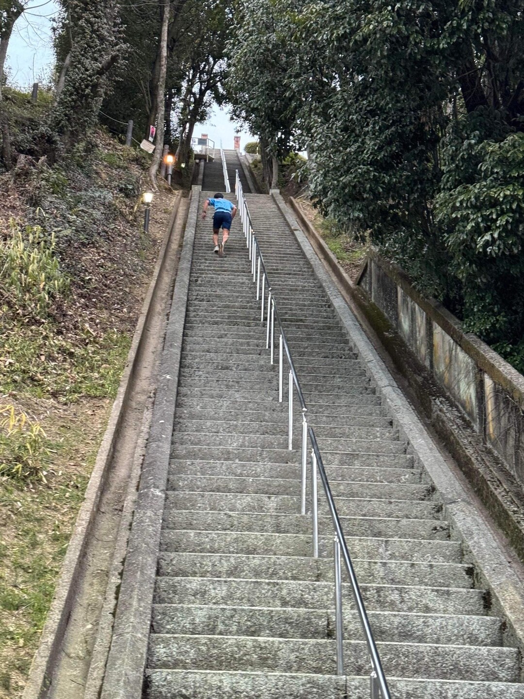 男山階段練 / HASEさんの登山の活動データ | YAMAP / ヤマップ