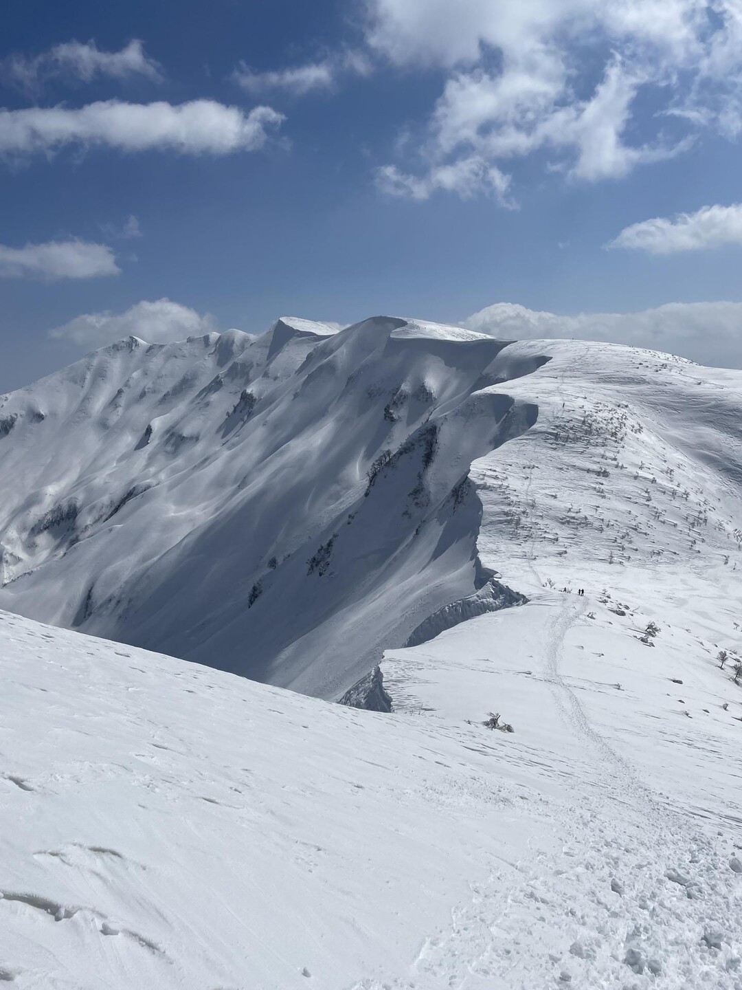 守門岳は保久礼ピストンがお勧め！ / 槍ヶ岳を夢みて★JUNYAさんの守門岳・大岳・網張山の活動データ | YAMAP / ヤマップ