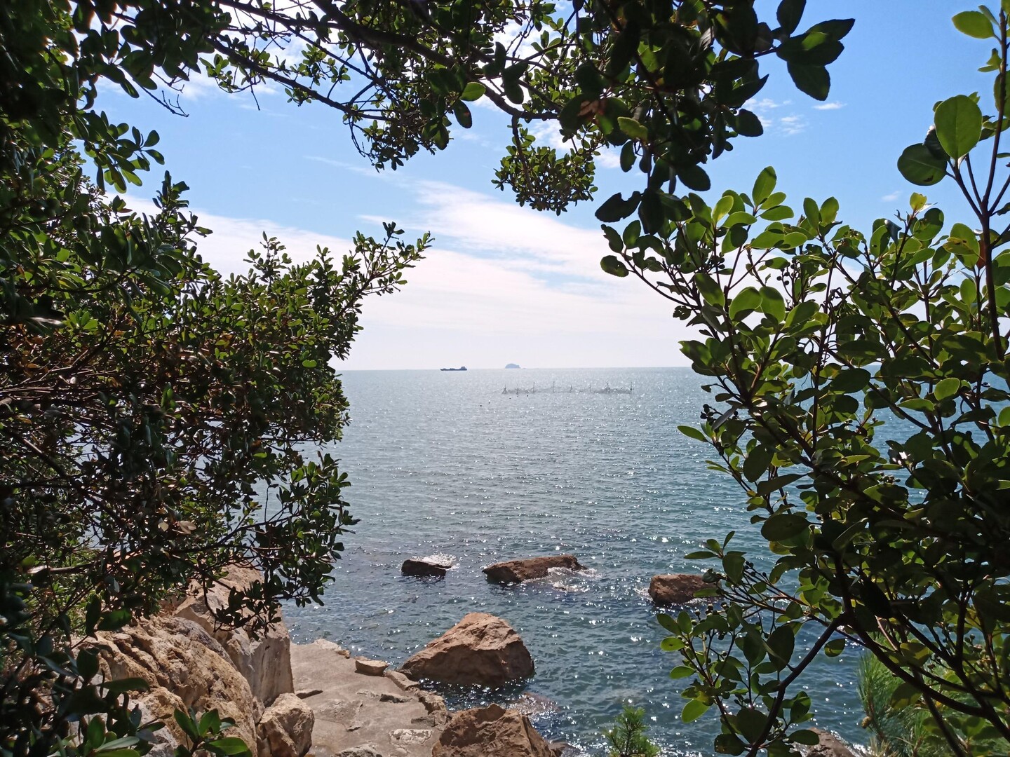 小赤壁 リービテーション / suzuさんの小富士山・御旅山・高坪山の活動データ | YAMAP / ヤマップ