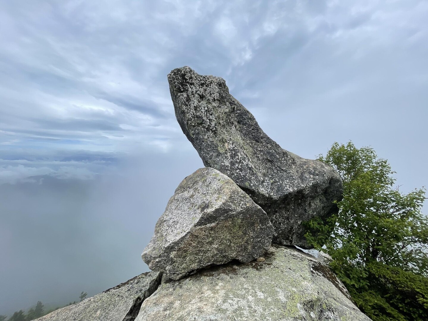 日帰り登山☆☆☆金峰山（甲州御岳山） / izumiさんの瑞牆山・金峰山の活動データ | YAMAP / ヤマップ