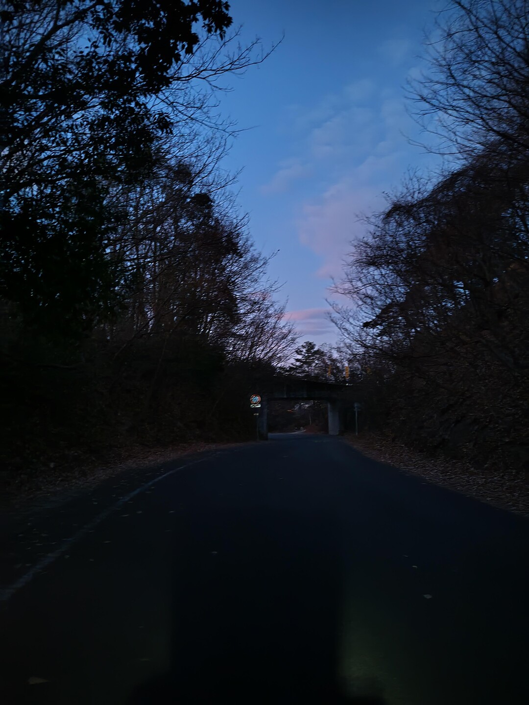 2025.1.3 FRI ☀ 今日は周回... / ダンさんのモーメント | YAMAP / ヤマップ