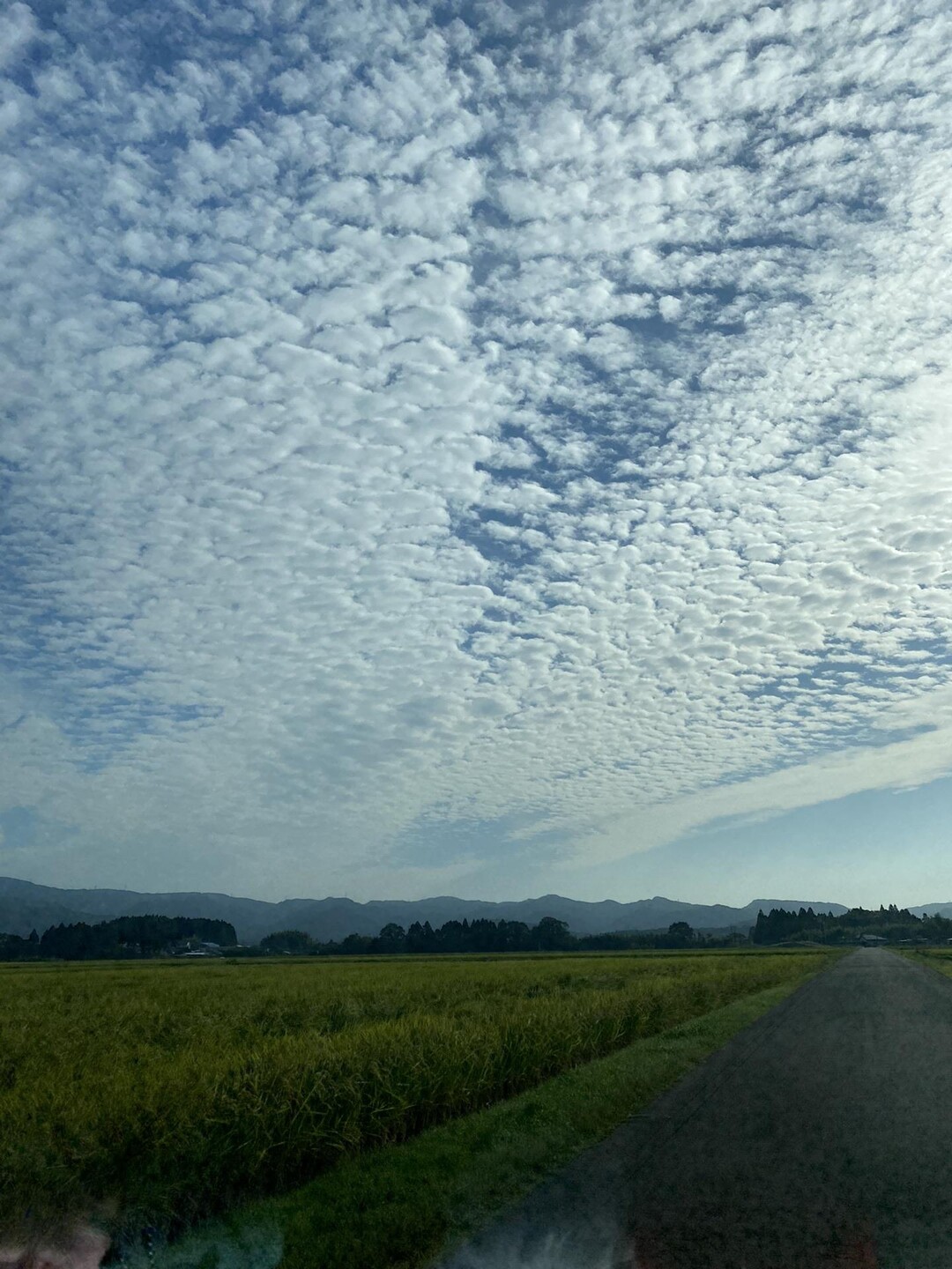 今月 お山に行けてない… 山不足。 / AZUMBOさんのモーメント | YAMAP / ヤマップ