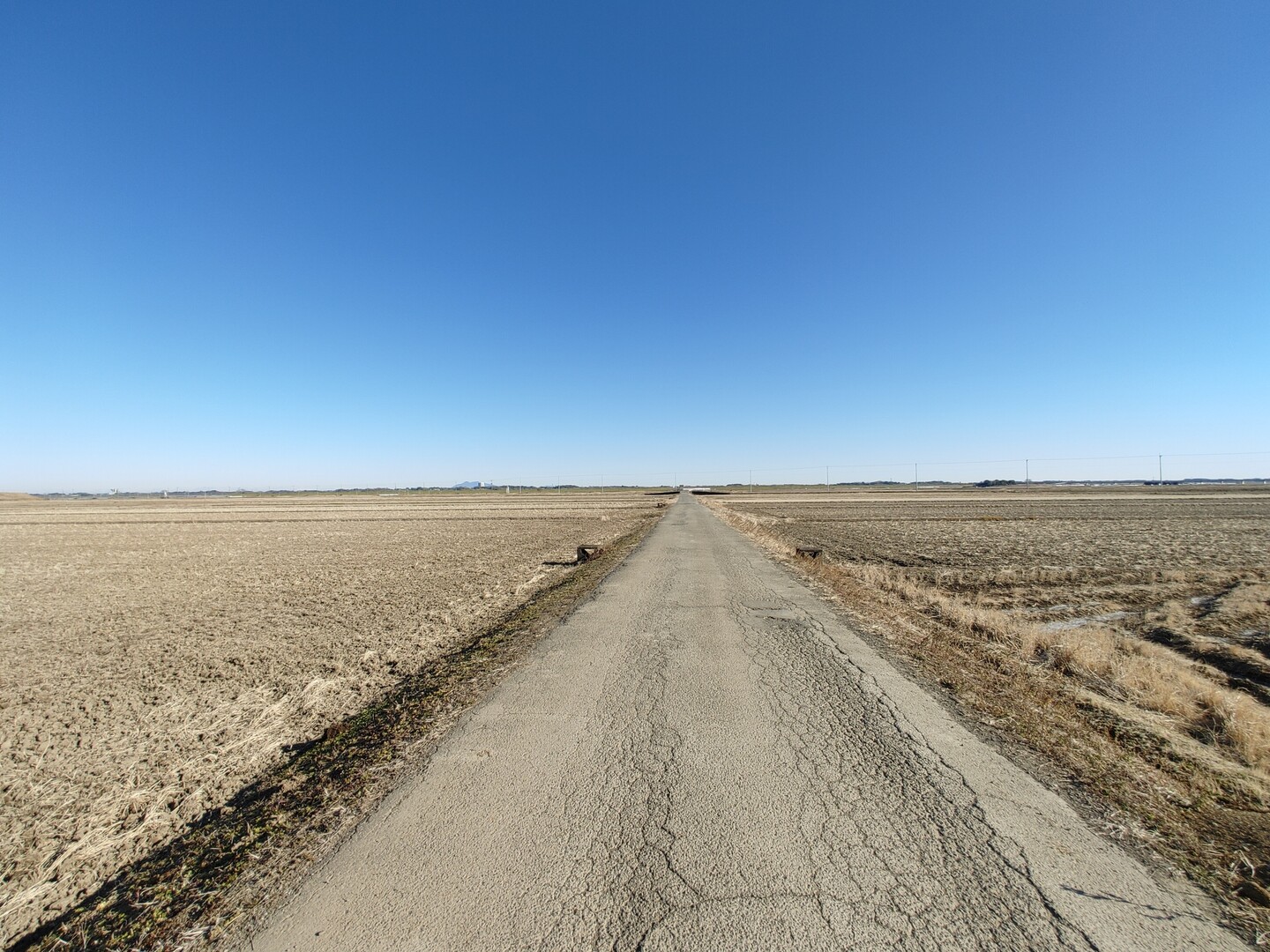 第21回 忠敬江戸入りフォーデーウオーク 3日目ロング 38km / pinojpさんの松戸市の活動データ | YAMAP / ヤマップ