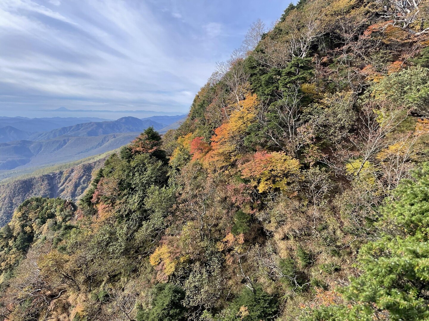 女峰山 / cosoraさんの女峰山・赤薙山・大真名子山の活動データ | YAMAP / ヤマップ