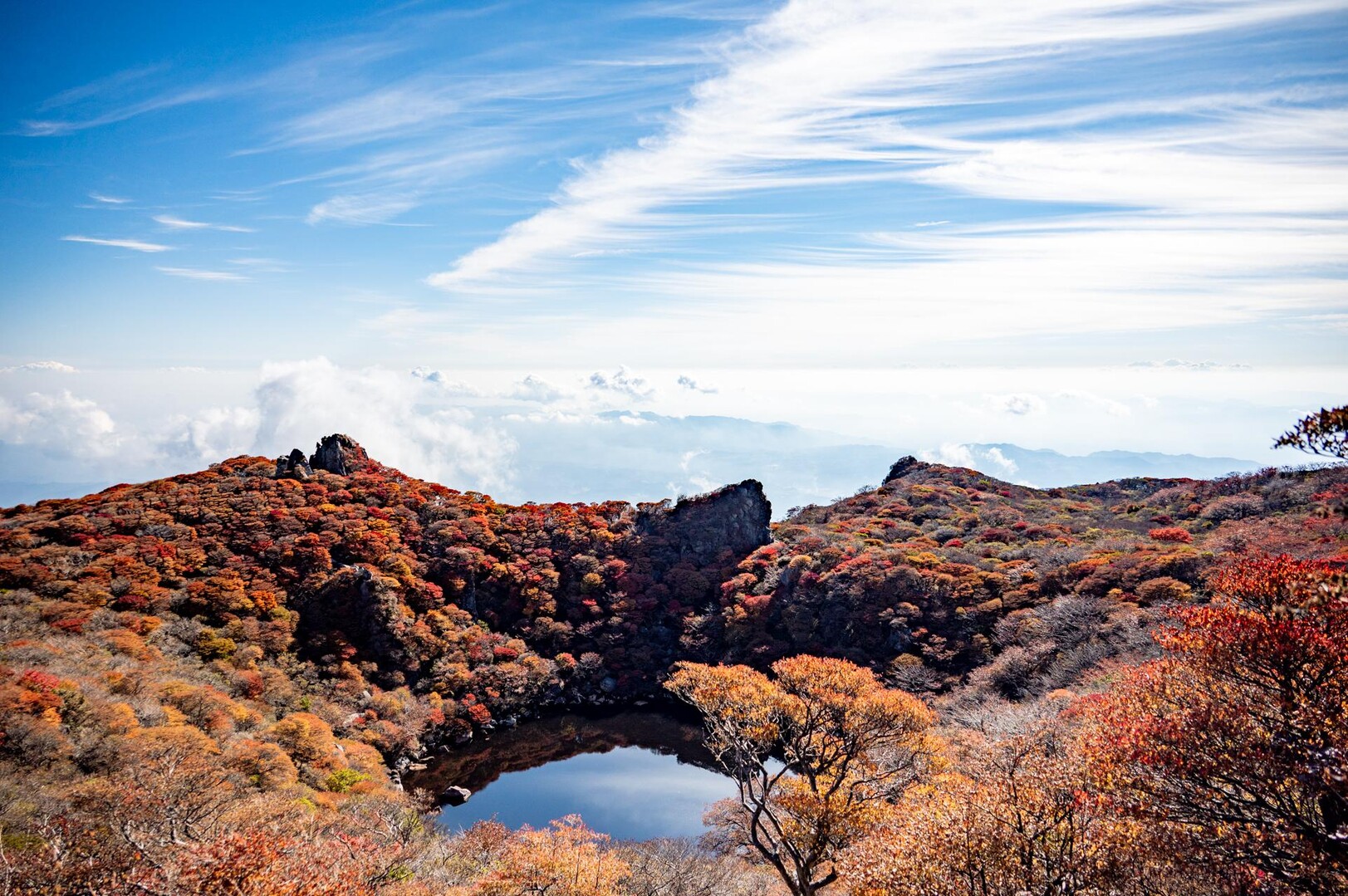 大船山 に(II) / su-さんの九重山（久住山）・大船山・星生山の活動データ | YAMAP / ヤマップ