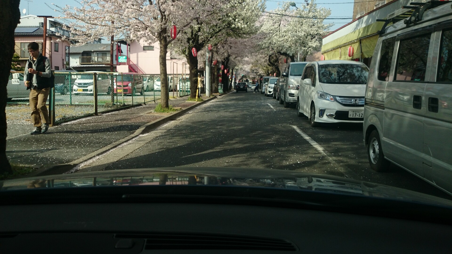 日本の道100選「常盤平 さくら通り」 / zeniioさんの東京都23区 東エリアの活動データ | YAMAP / ヤマップ