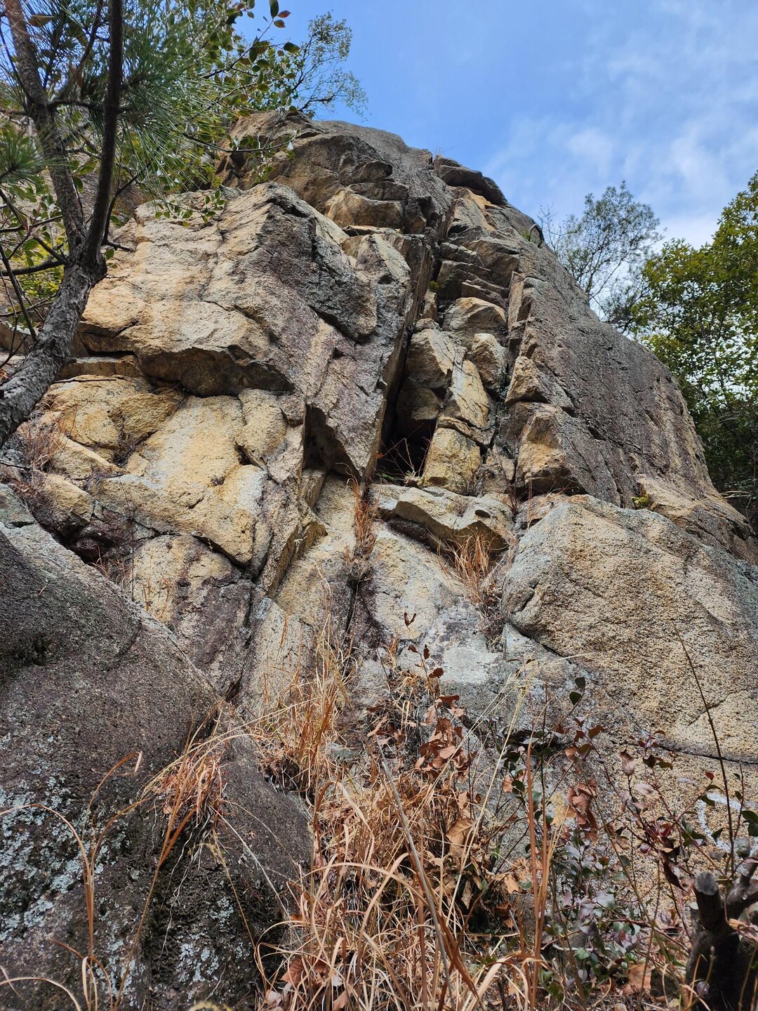 岩肌の誘惑 / climbおっさんさんのモーメント | YAMAP / ヤマップ