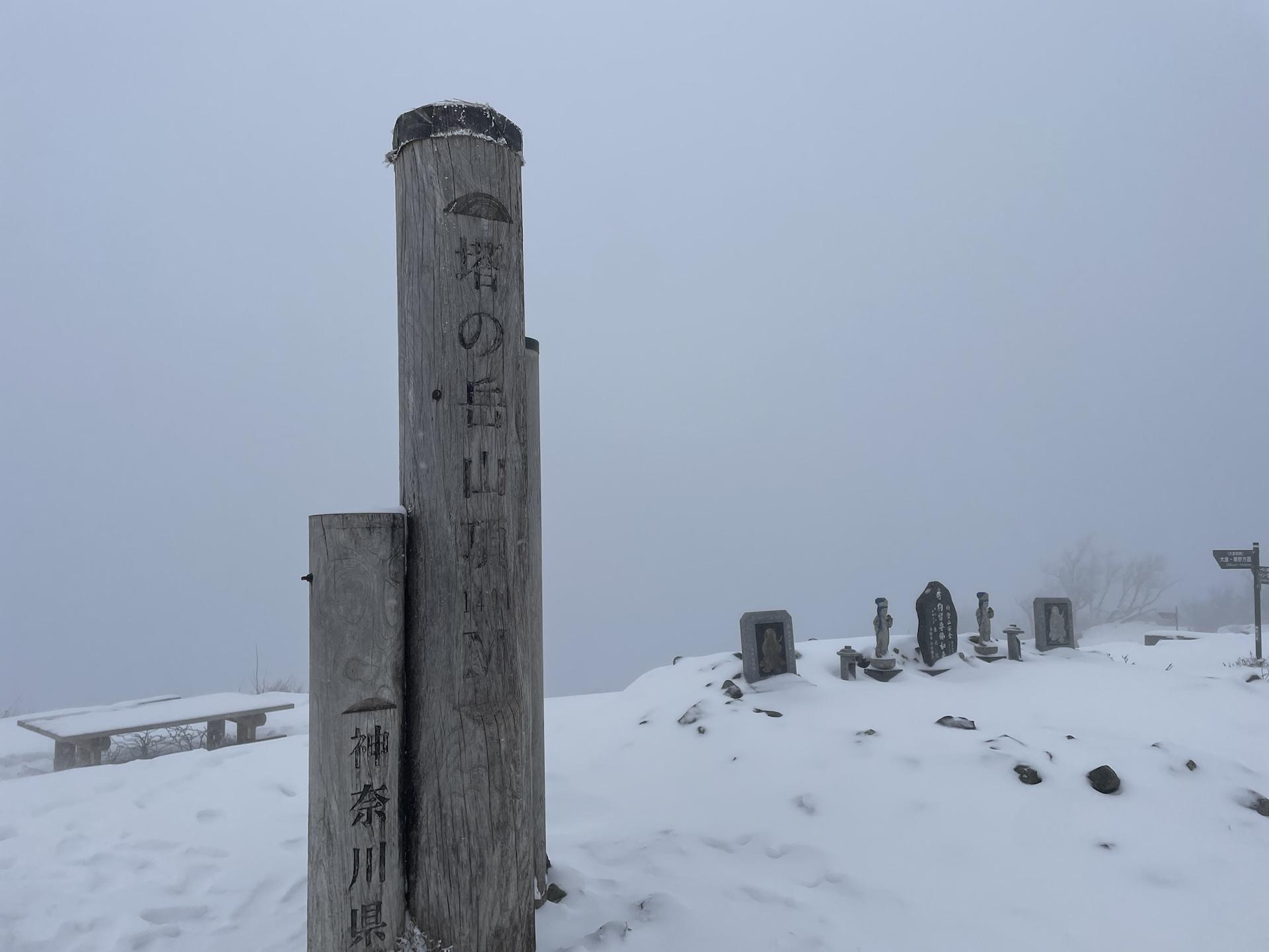 新雪の塔ノ岳 ️ / mocoさんの塔ノ岳・丹沢山・蛭ヶ岳の活動データ | YAMAP / ヤマップ