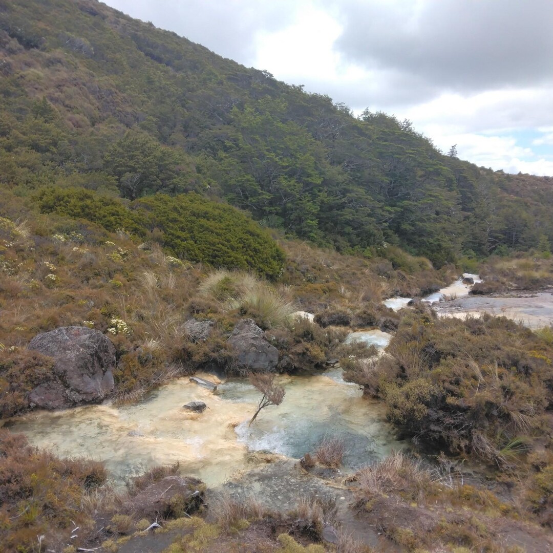 トンガリロDay2(4) Silica Rapids Track-2023-12-20 / もぼさんのトンガリロ国立公園の活動データ | YAMAP / ヤマップ