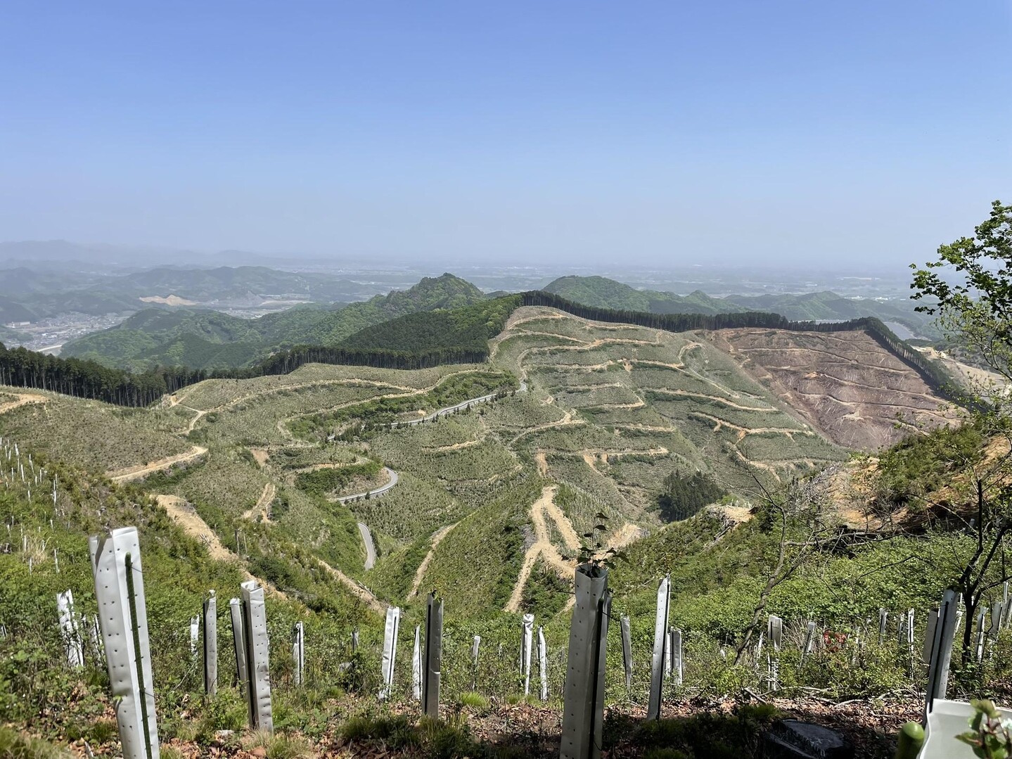 谷倉山 / KANA&COさんの谷倉山の活動日記 | YAMAP / ヤマップ