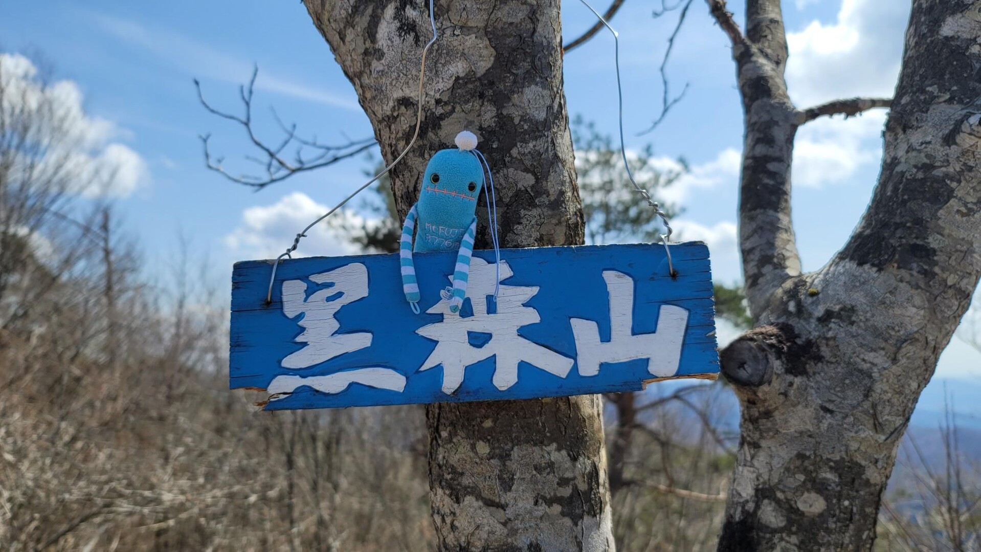 04.07 黒森山 / koke🌿さんの黒森山・朝島山の活動データ | YAMAP / ヤマップ