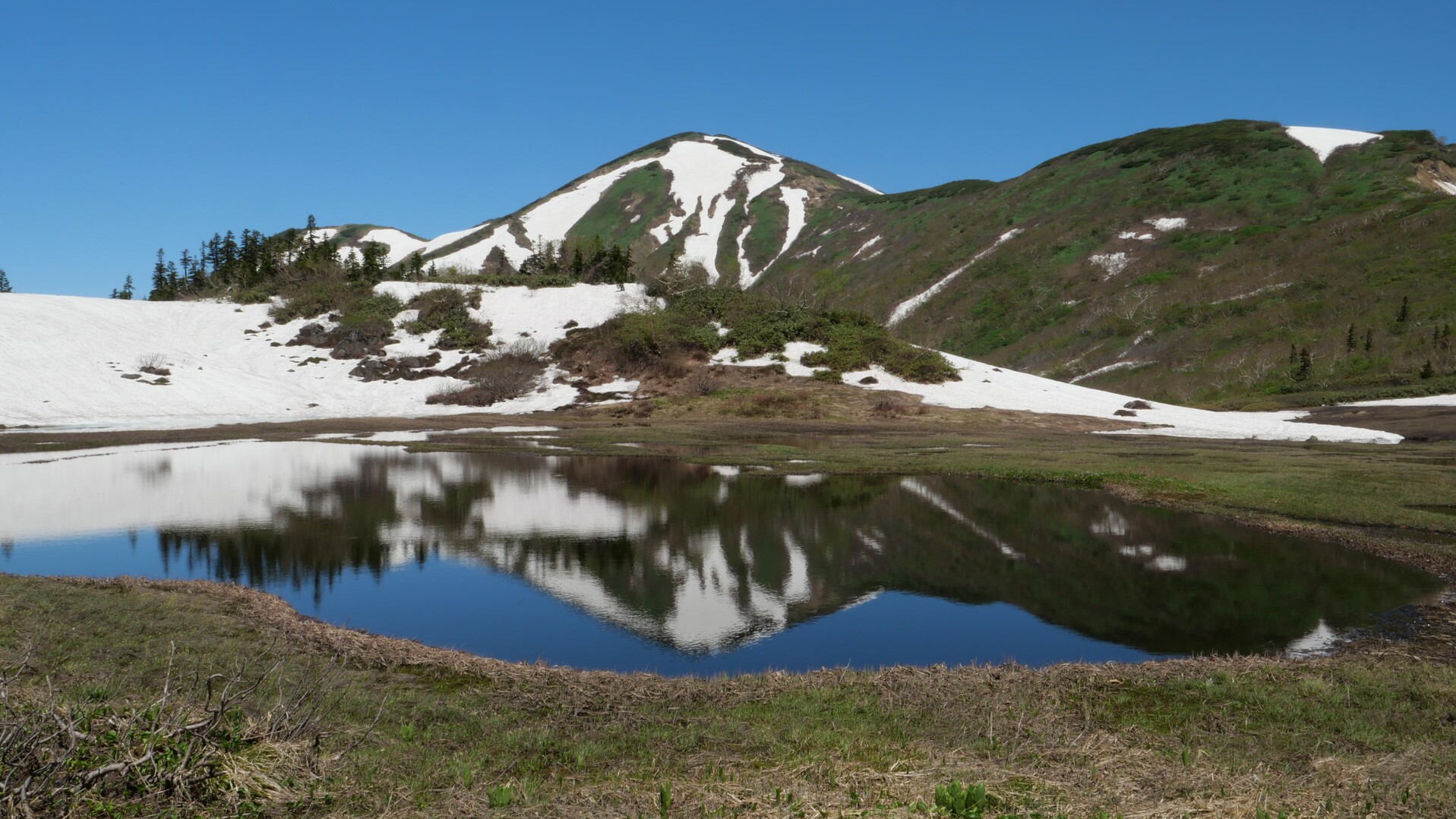 火打山・妙高山 2023-06-17 / Jiro-sanさんの妙高山・火打山の活動データ | YAMAP / ヤマップ