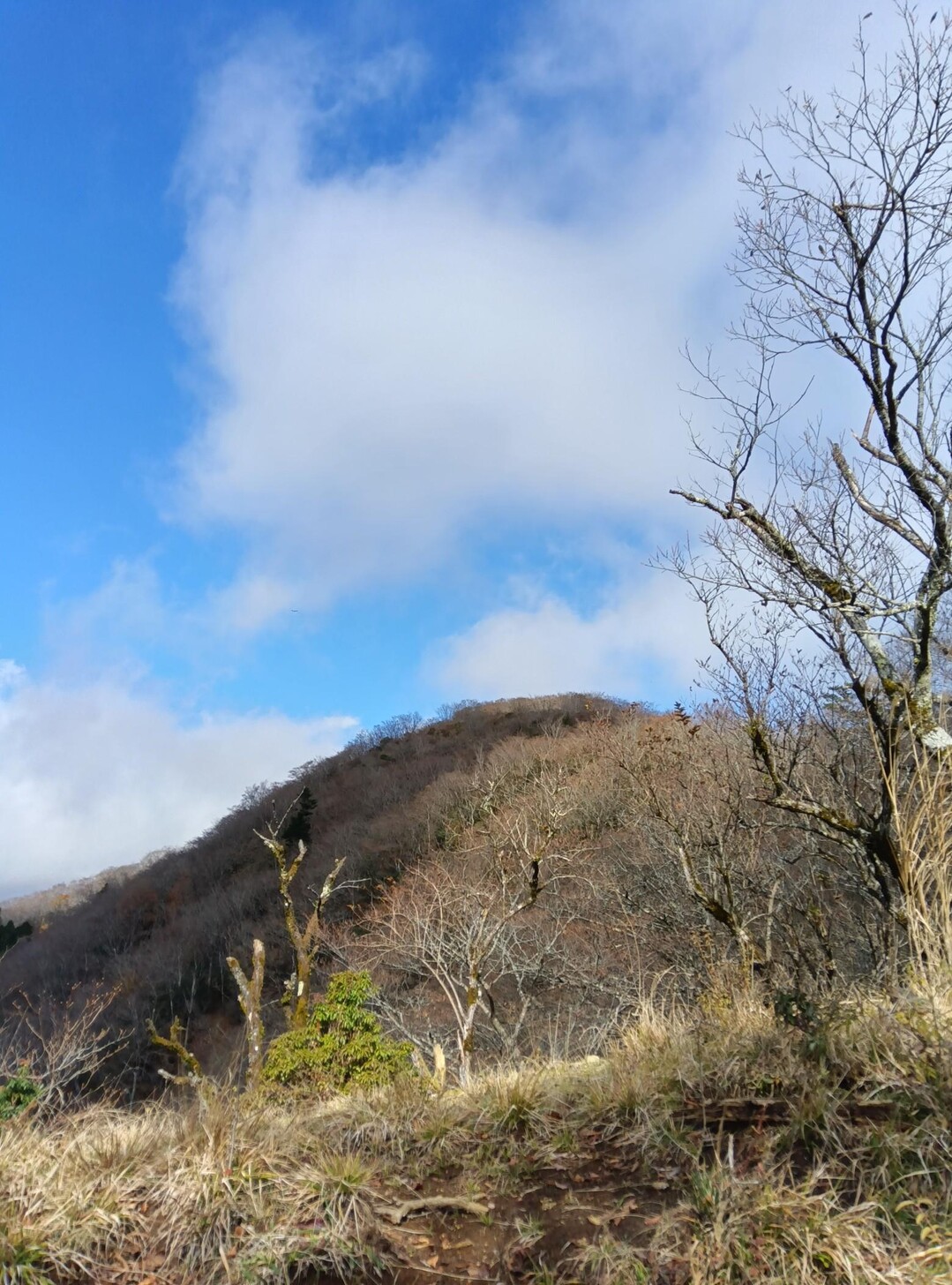 鍋割山と滝 / nori 04さんの塔ノ岳・丹沢山・蛭ヶ岳の活動日記 | YAMAP / ヤマップ