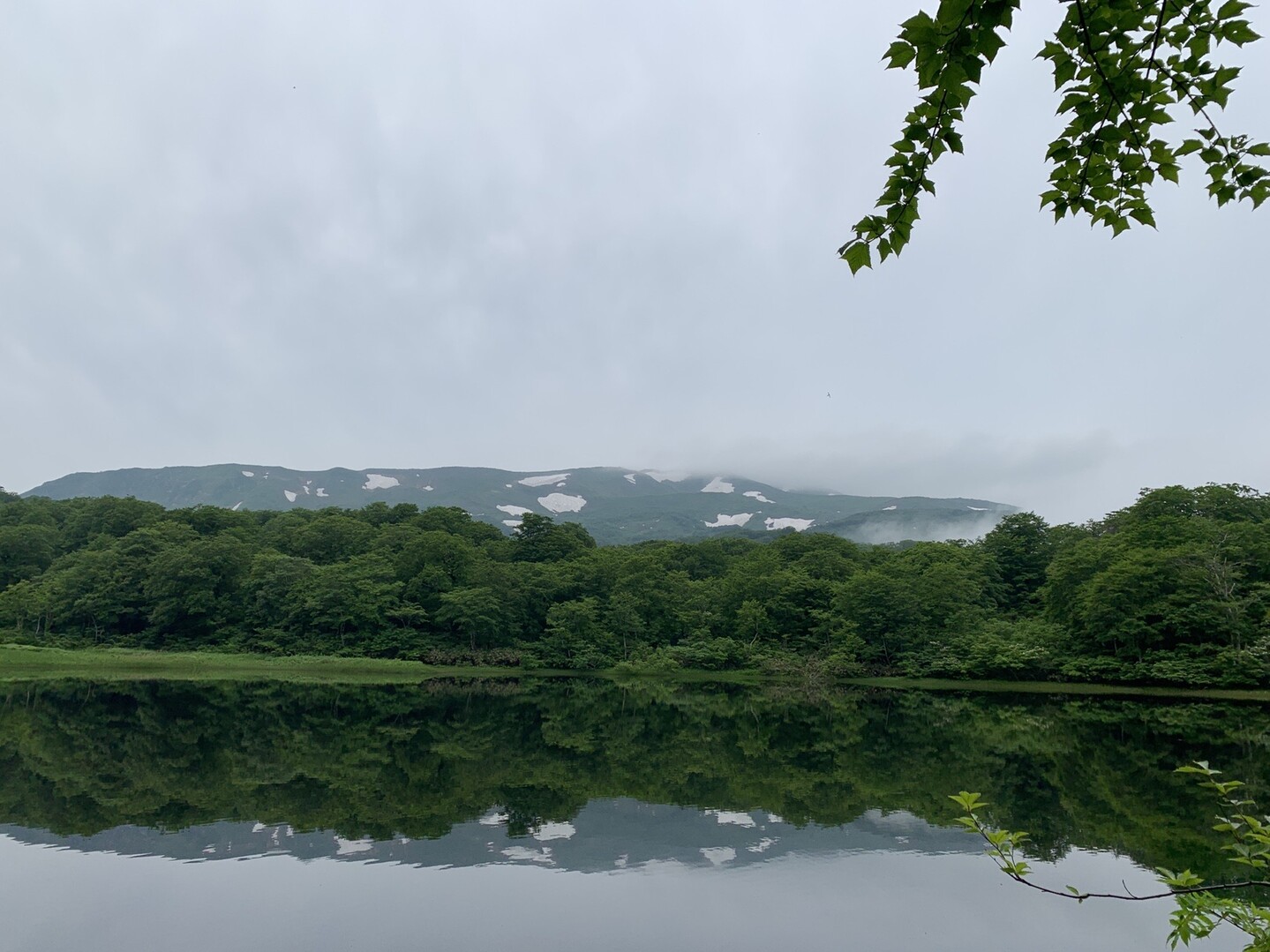 焼石岳 / SABoさんの焼石岳・兎森山・鷲ヶ森山の活動データ | YAMAP / ヤマップ