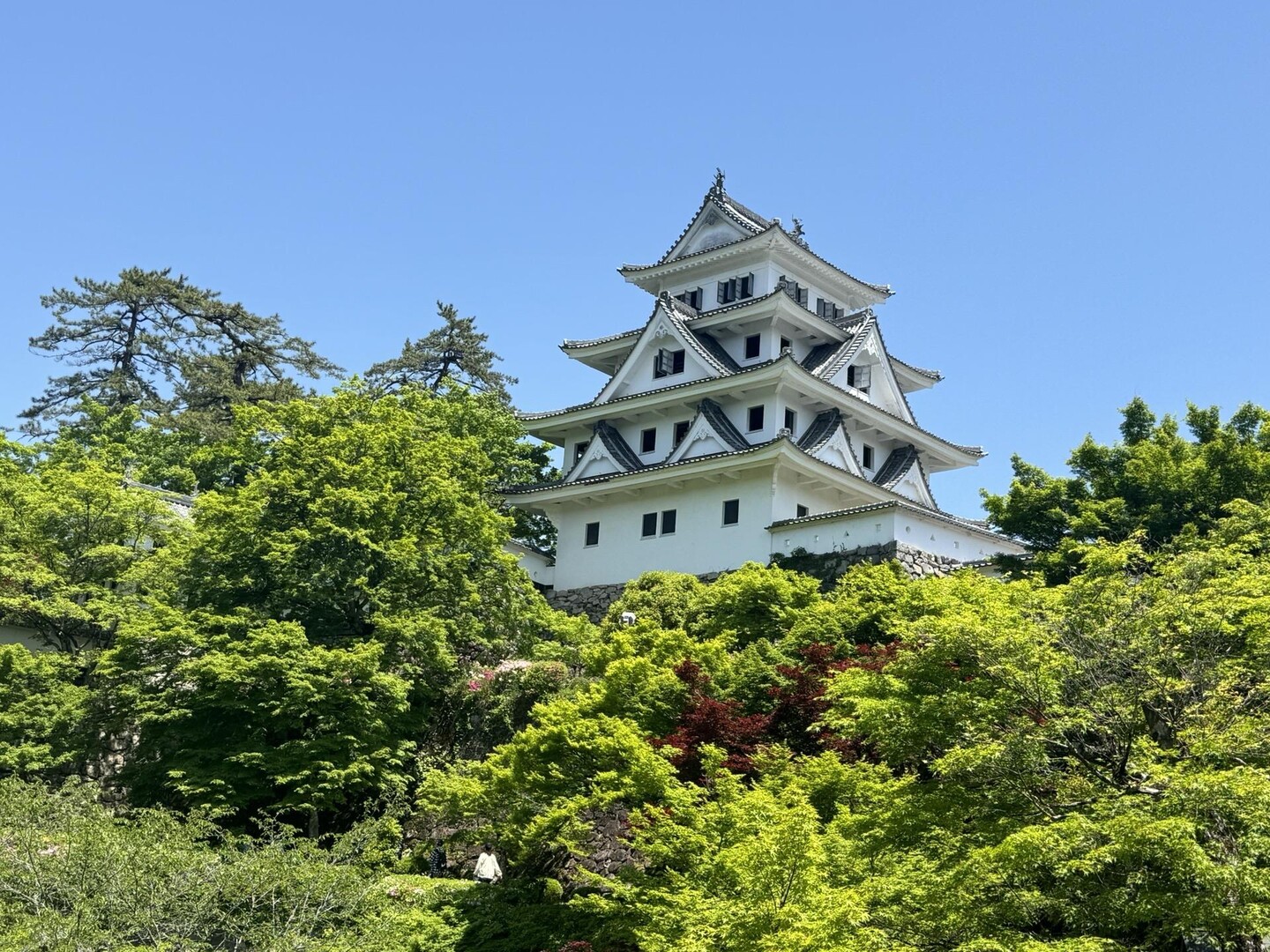 八幡山（郡上八幡城） / TARUMIさんの東殿山の活動データ | YAMAP / ヤマップ