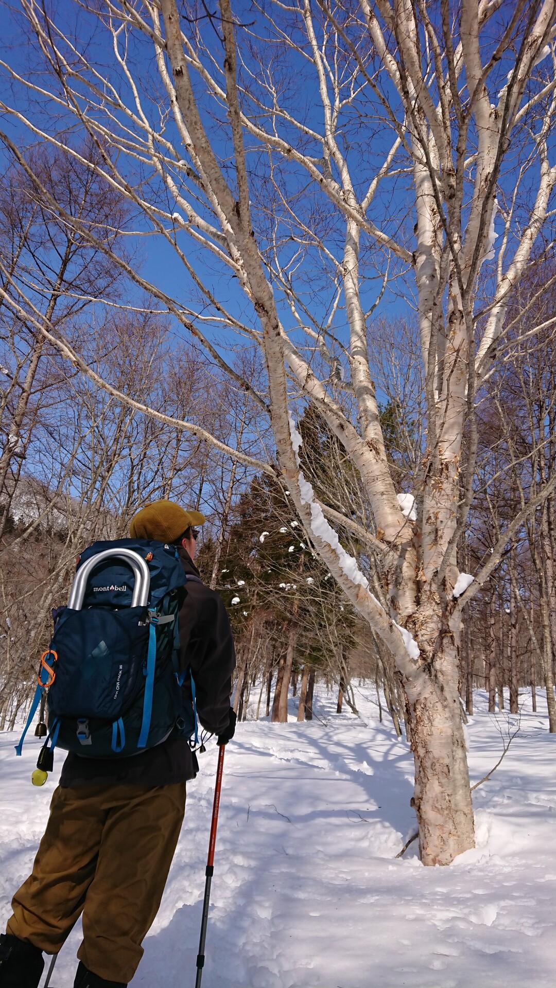 おたんじょうび登山🎂 ホワイトアウトからの生還 / POKAさんの船形山（御所山）・泉ヶ岳・蛇ヶ岳の活動データ | YAMAP / ヤマップ