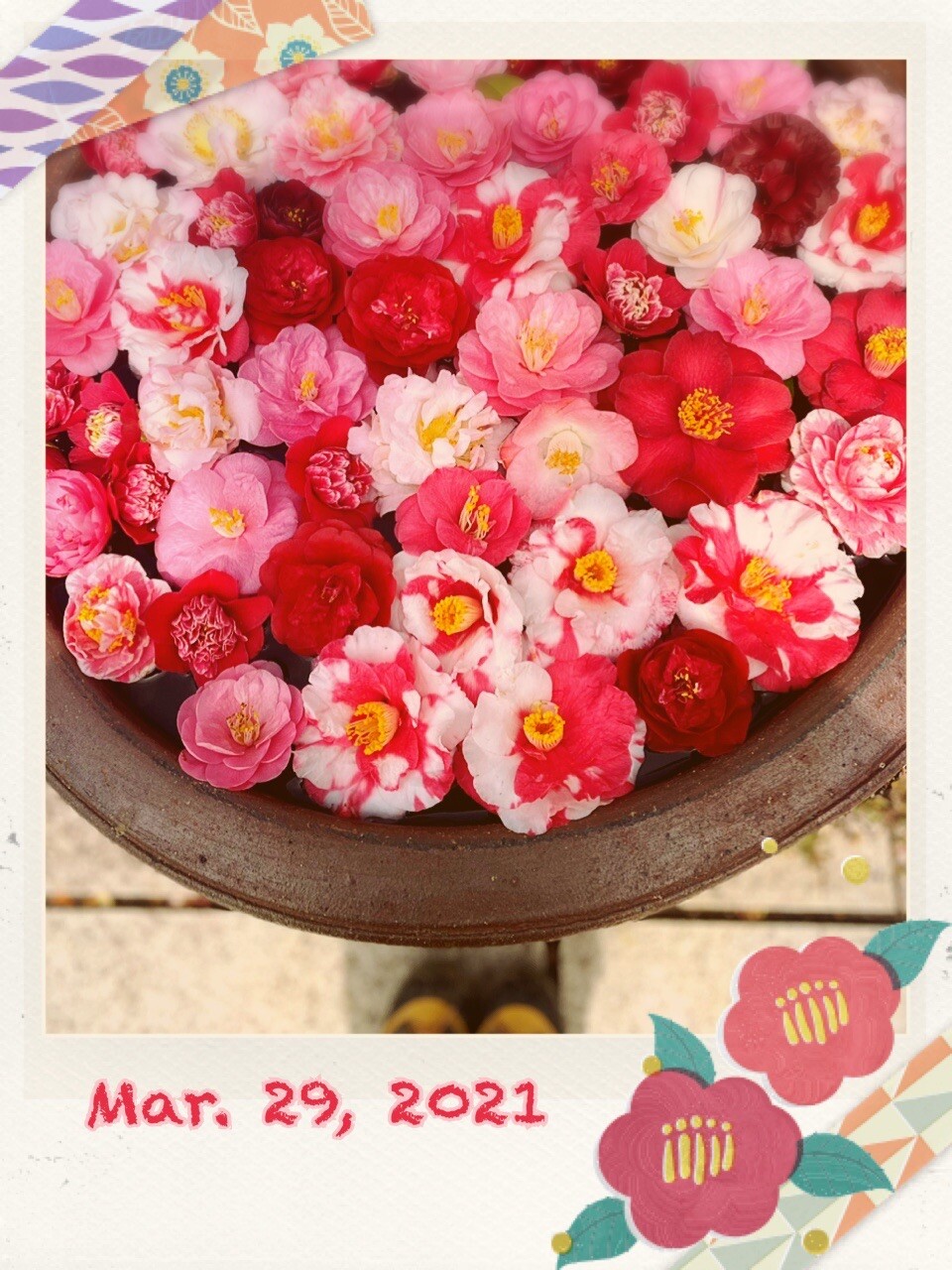 京都 霊鑑寺さんへ 去年 Instagr... / S.BABAさんのモーメント | YAMAP / ヤマップ