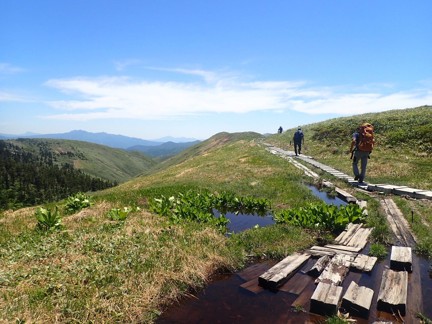 巻機山 / mikaさんの巻機山・割引岳・金城山の活動データ | YAMAP / ヤマップ