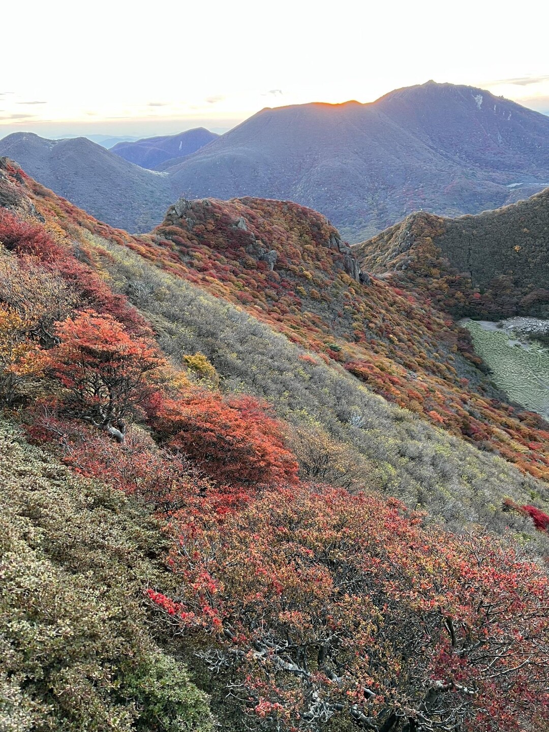1dayくじゅう17サミッツ / ぐりじおかんぽぼーろさんの九重山（久住山）・大船山・星生山の活動日記 | YAMAP / ヤマップ