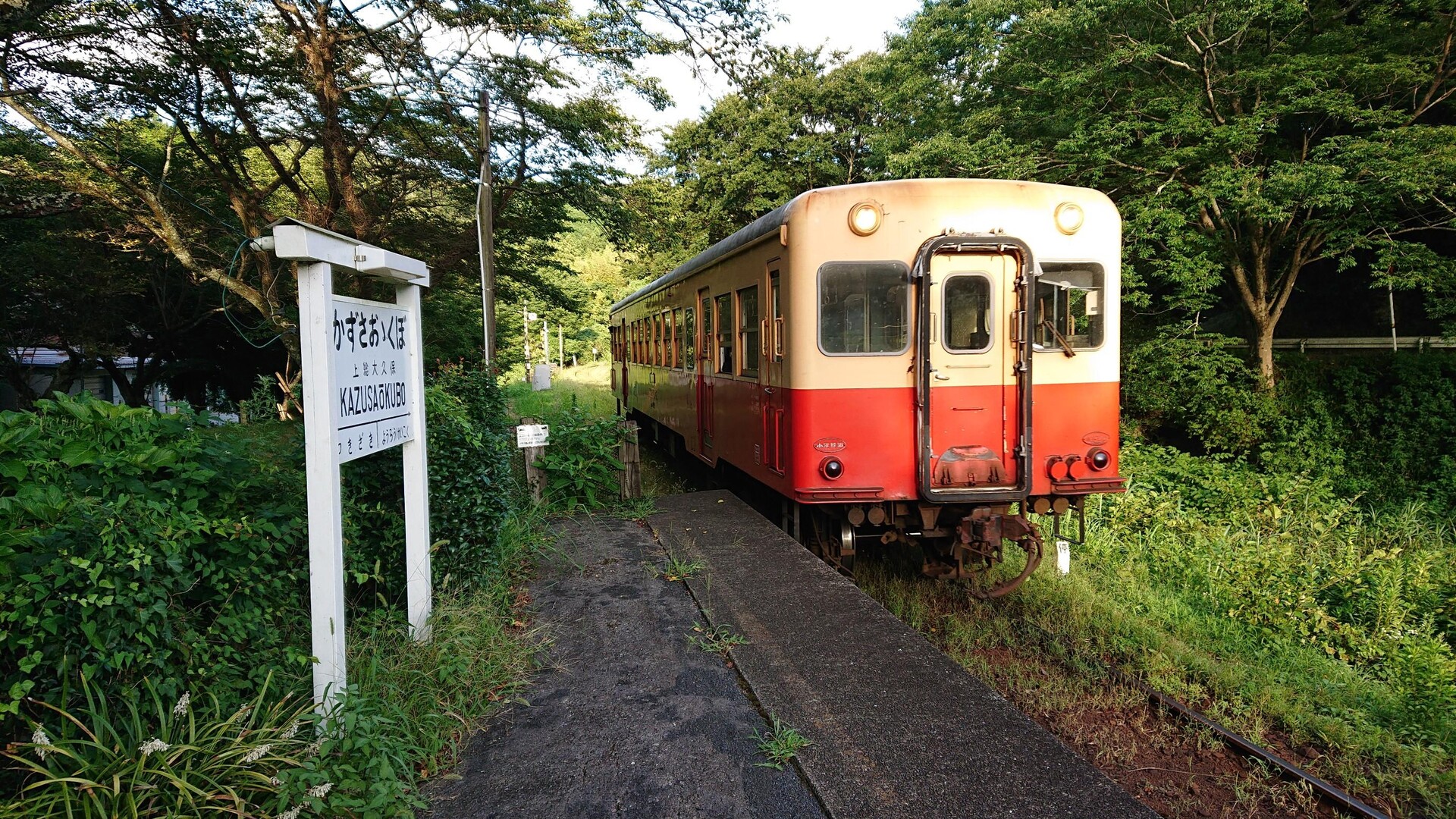 林道ウォーカーのページ | YAMAP / ヤマップ