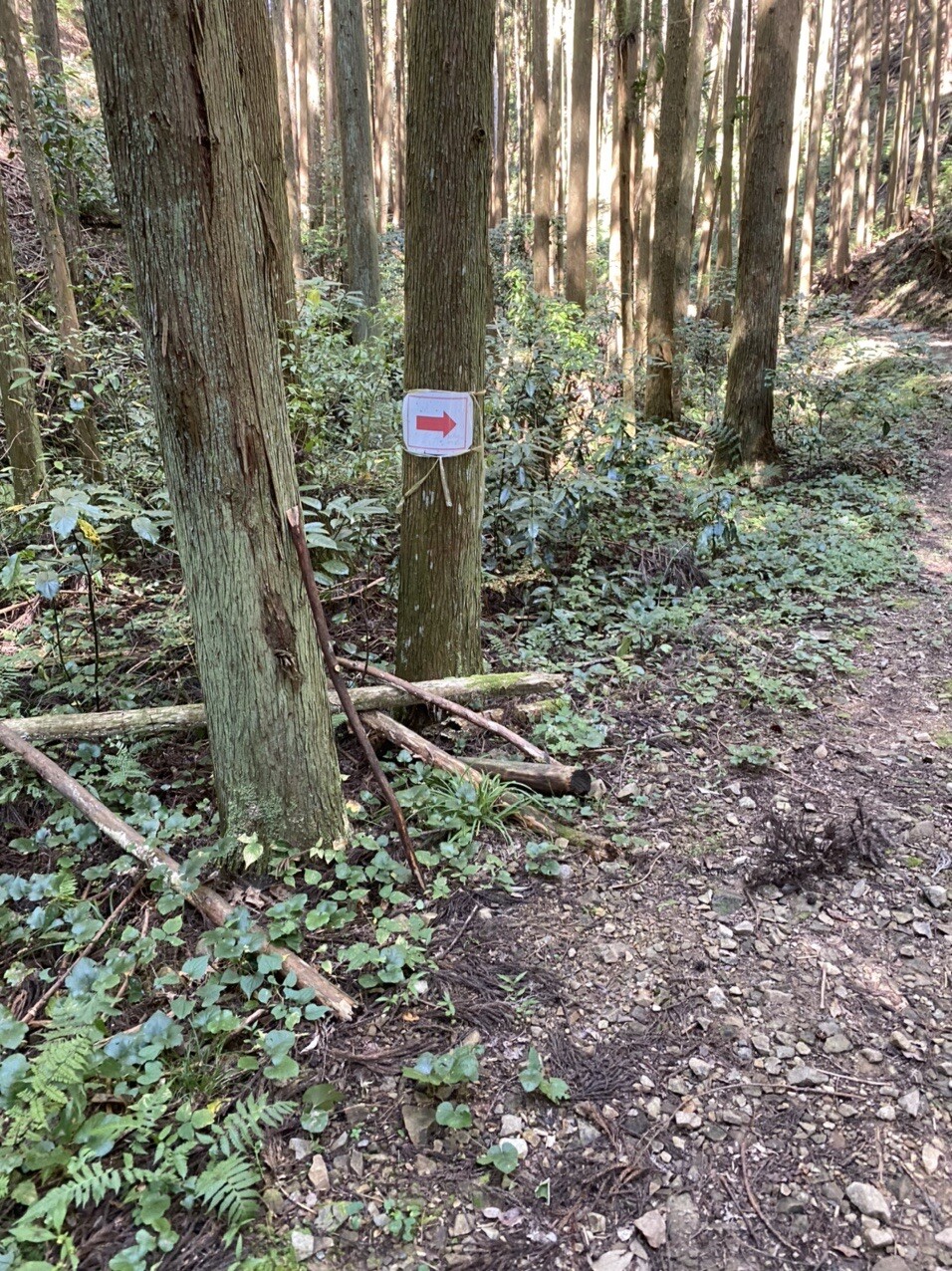 sinnさんの投稿したフィールドメモ | YAMAP / ヤマップ