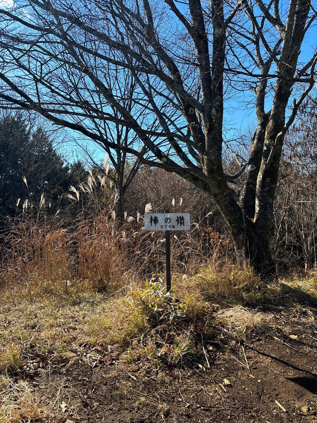 棒ノ折山 / nickさんの棒ノ折山（棒ノ嶺）の活動データ | YAMAP / ヤマップ