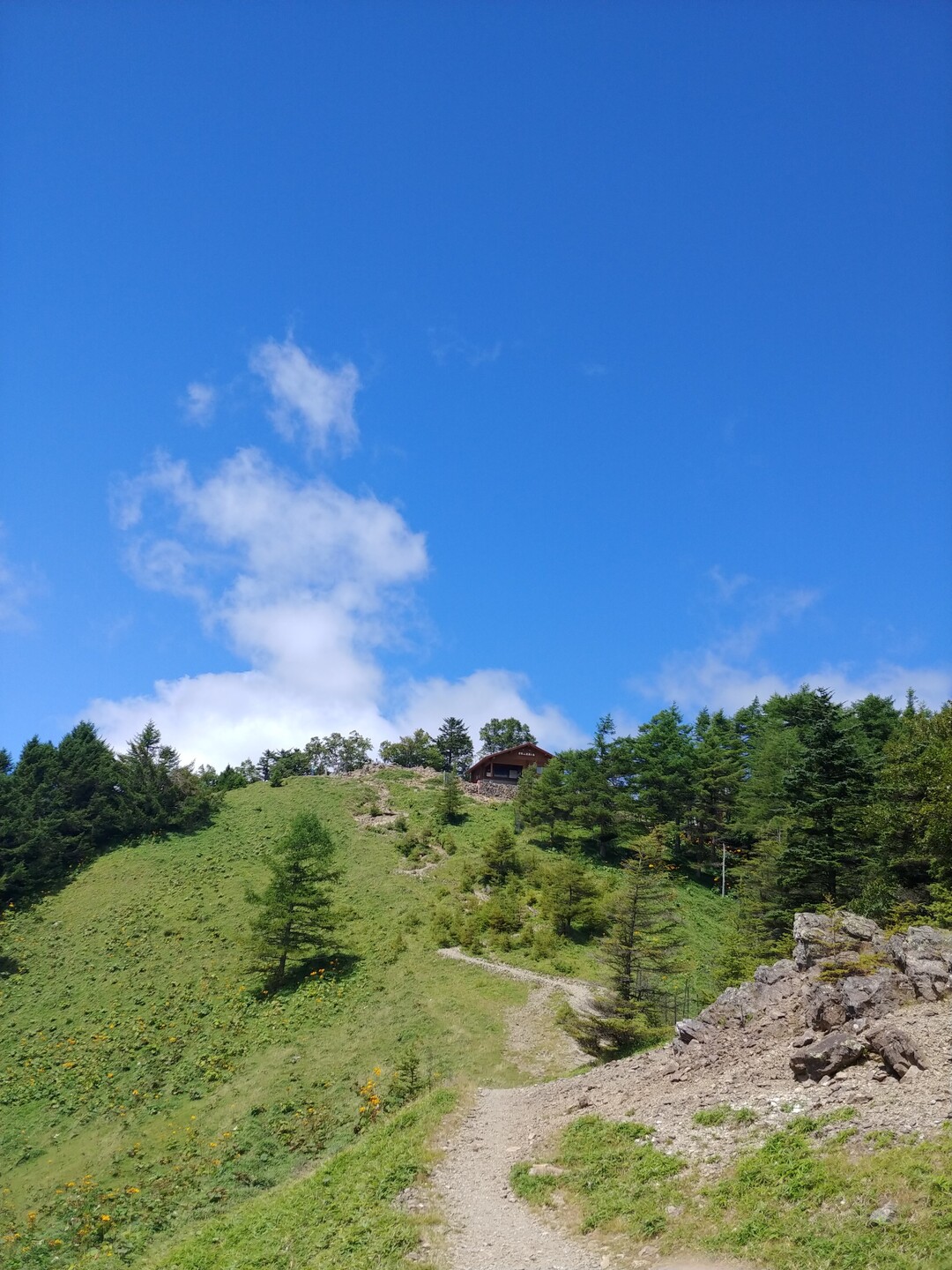 ヨモギノ頭・小雲取山・雲取山 / miwaさんの雲取山・鷹ノ巣山・七ツ石山の活動データ | YAMAP / ヤマップ
