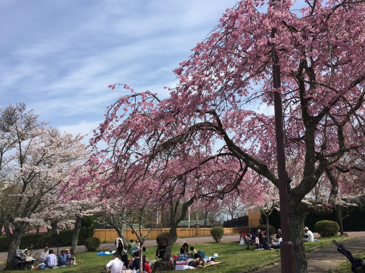 楽々、生駒山-暗峠-千光寺 / PokiPokiさんの生駒山・神津嶽・大原山の活動データ | YAMAP / ヤマップ