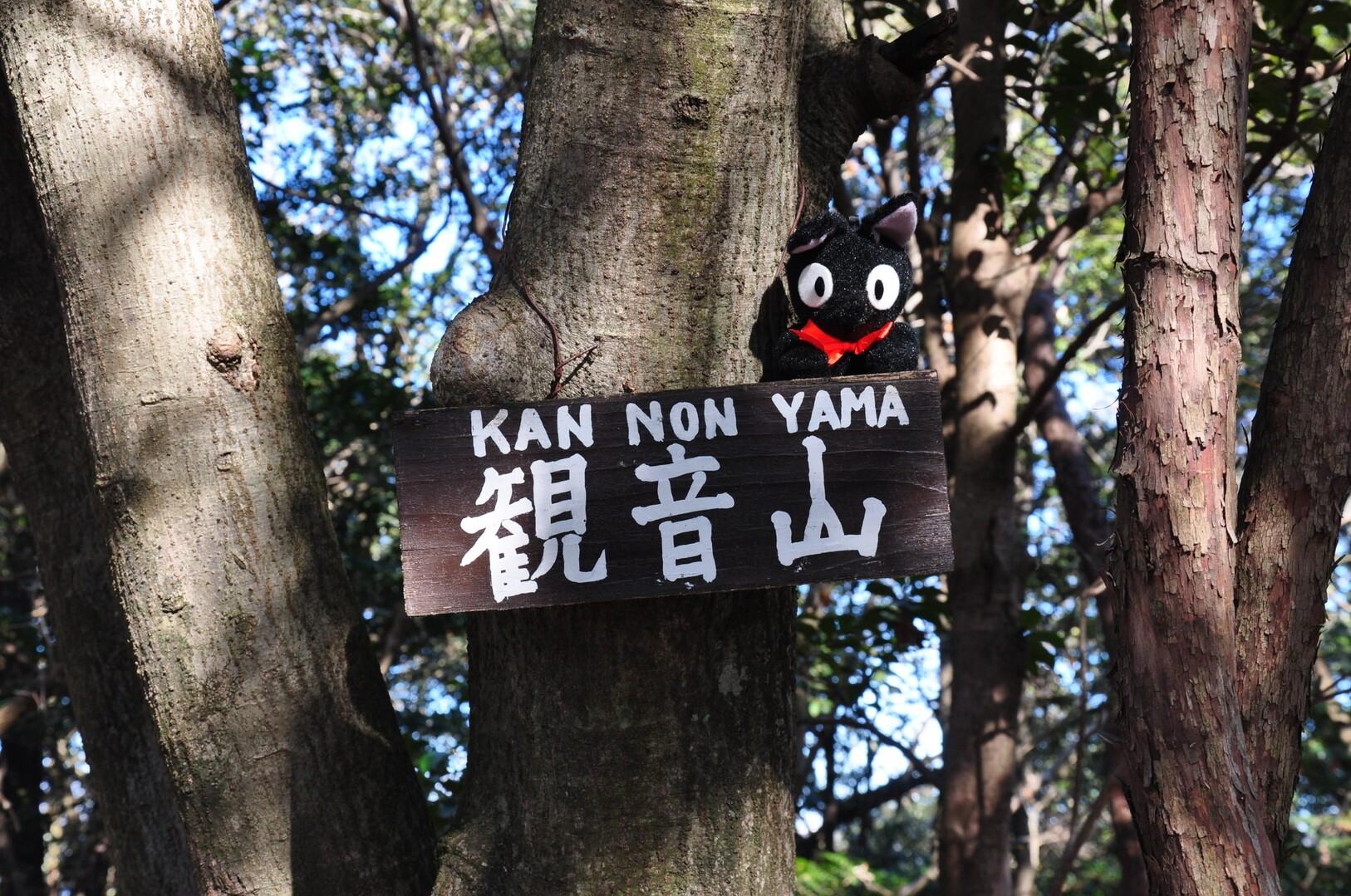 善光寺山・安桜山・観音山 / yasuさんの山王山・まるまる山・松尾山の活動データ | YAMAP / ヤマップ