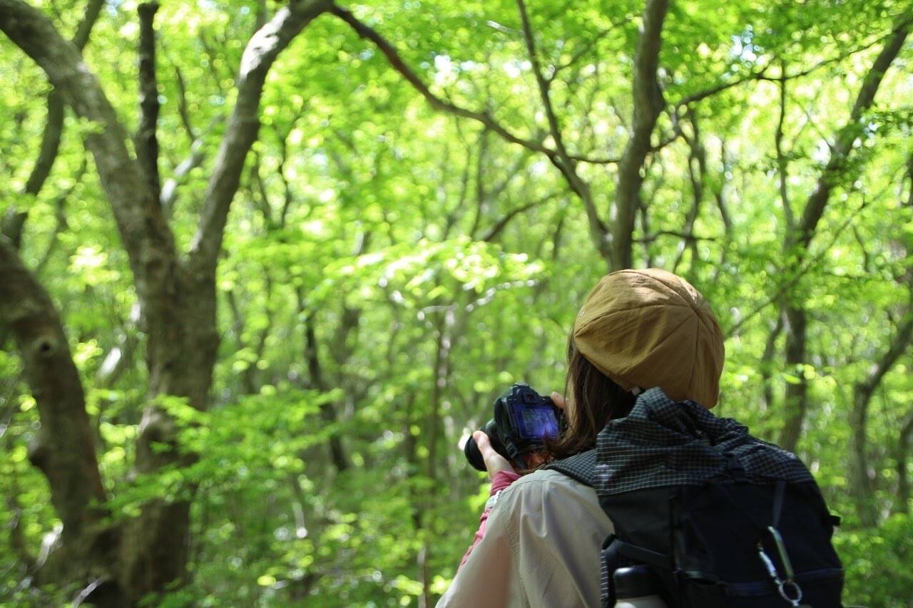 作礼山東峰（権現山）・作礼山 / erikoさんの作礼山の活動データ | YAMAP / ヤマップ