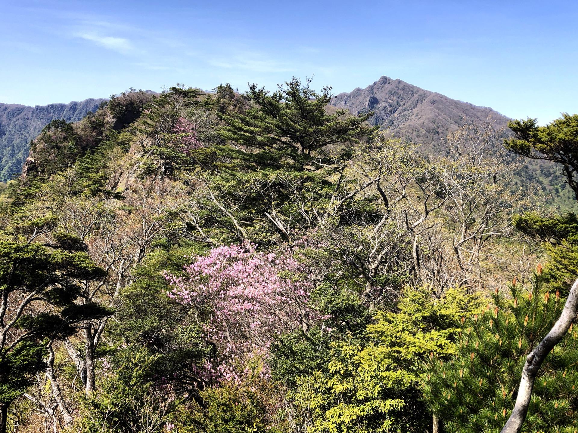 愛山新道から大障子岩そして祖母山へ / Coki-aさんの祖母山の活動データ | YAMAP / ヤマップ