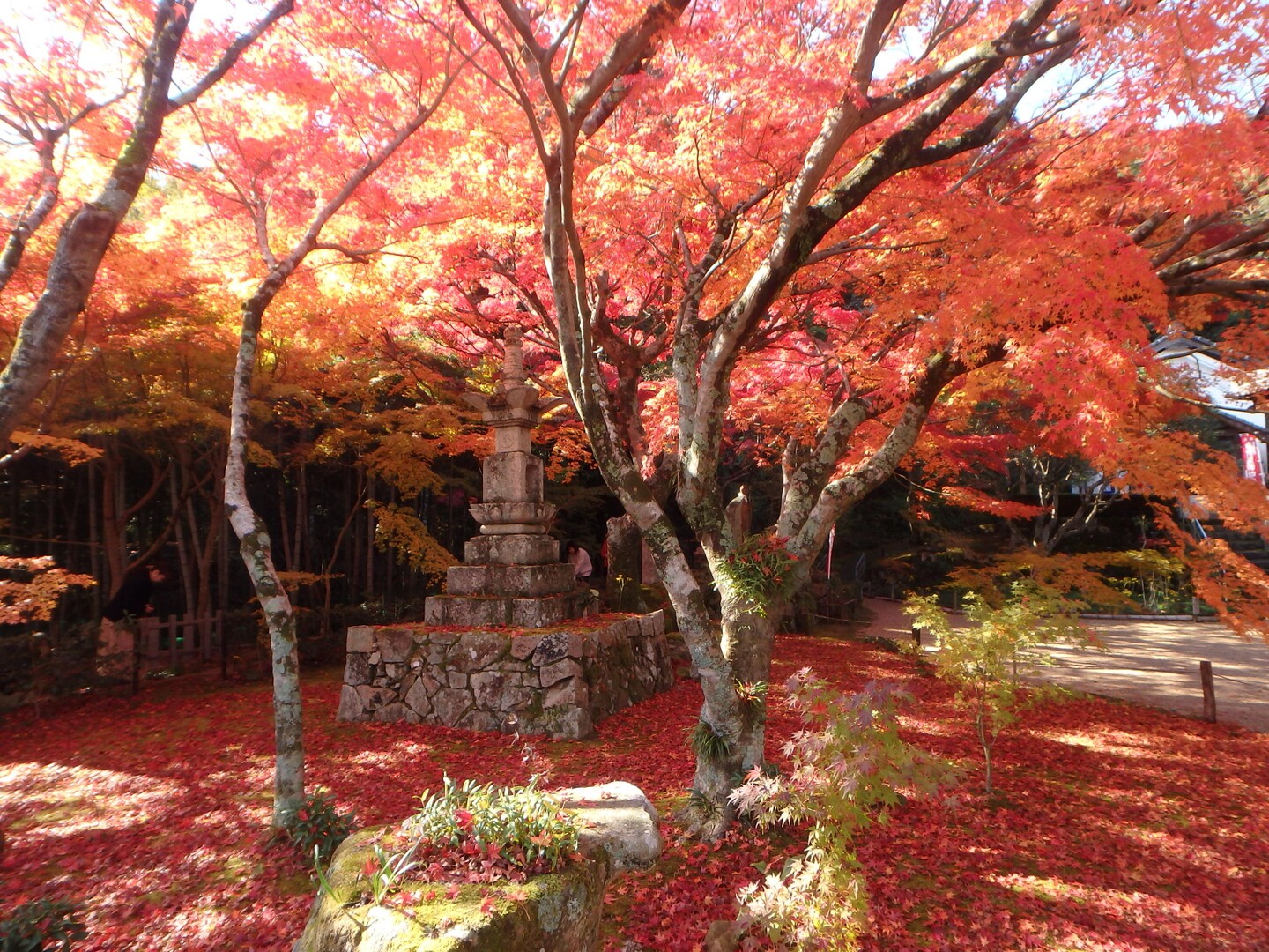 もみじ寺 両足寺へ / 亀足文太郎さんの観光の活動データ | YAMAP / ヤマップ