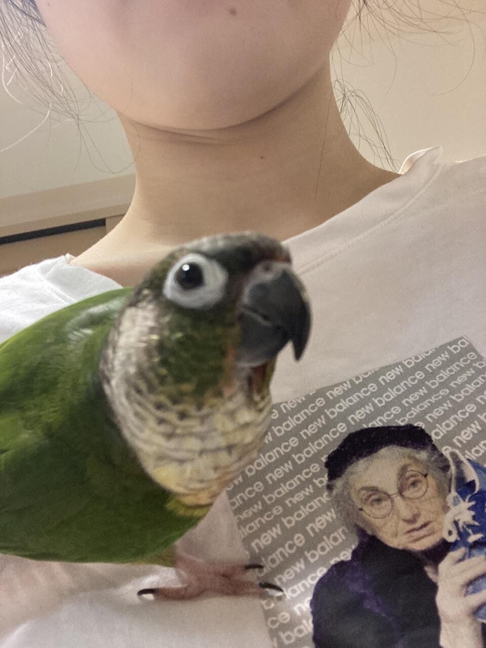 nyaomaskのページ | YAMAP / ヤマップ