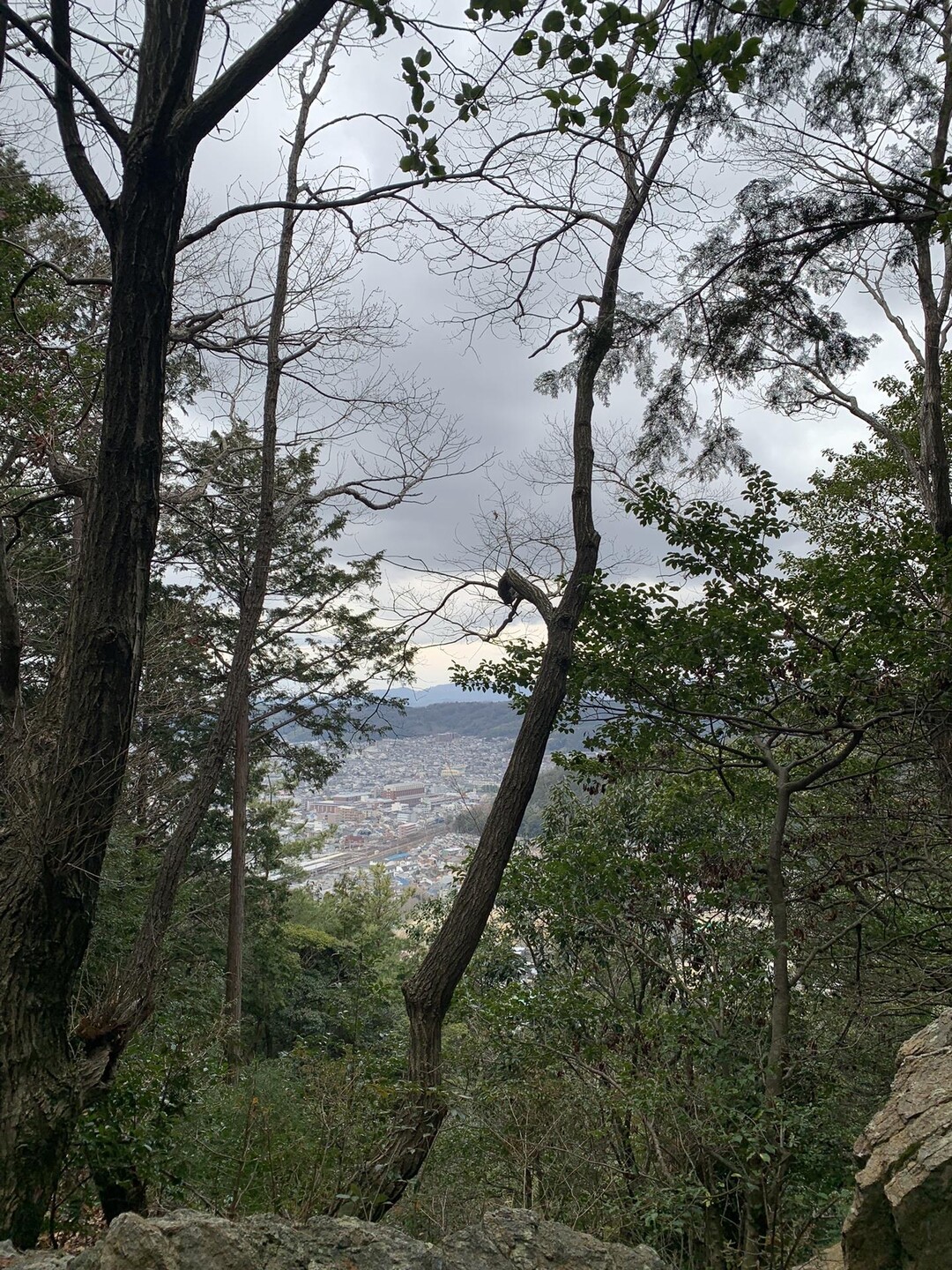 大文字付近 / pu_sanさんの登山の活動データ | YAMAP / ヤマップ