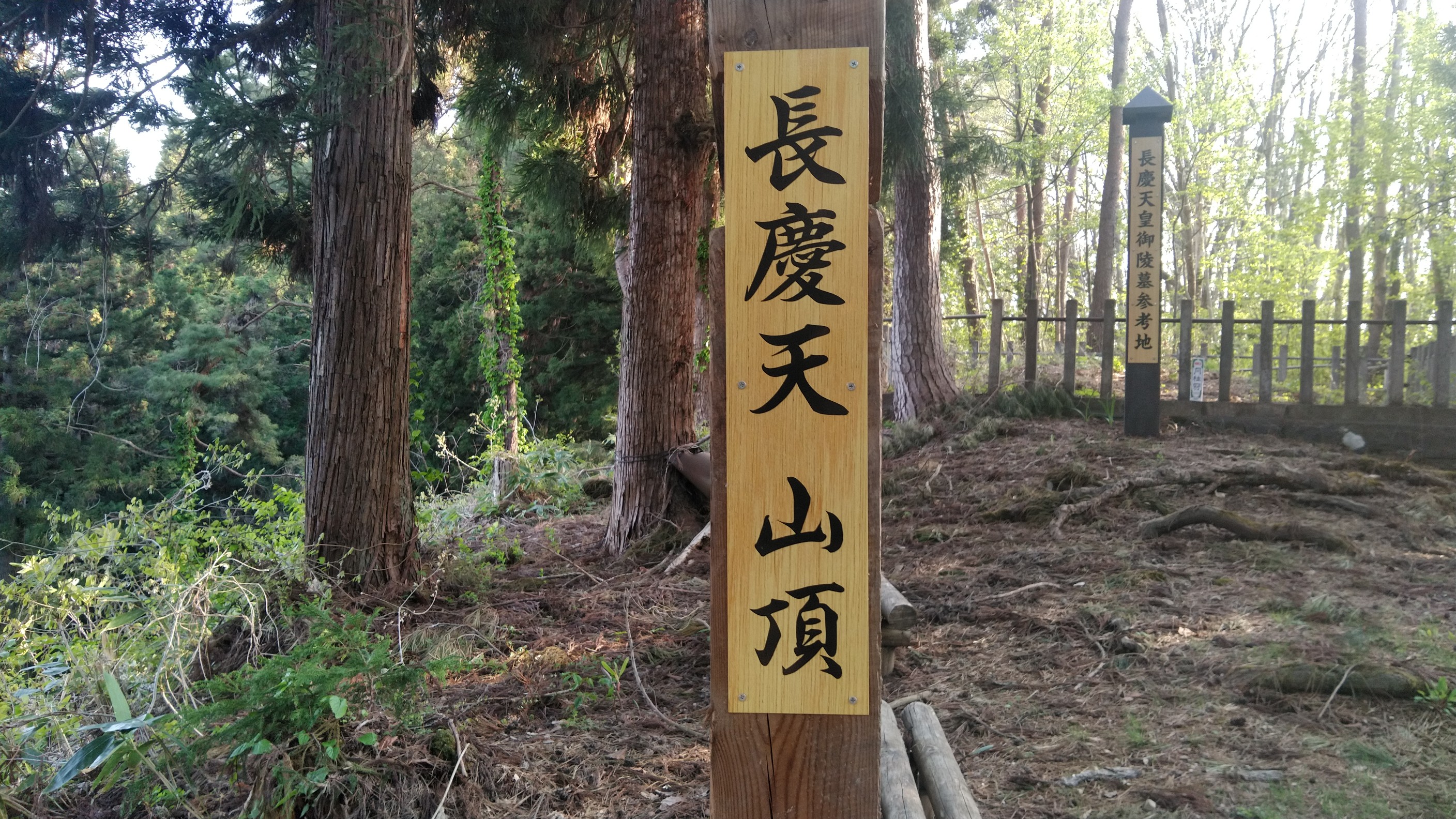 上皇宮から慶長天山頂へ。 / ねこやなぎさんの弘前市の活動データ | YAMAP / ヤマップ