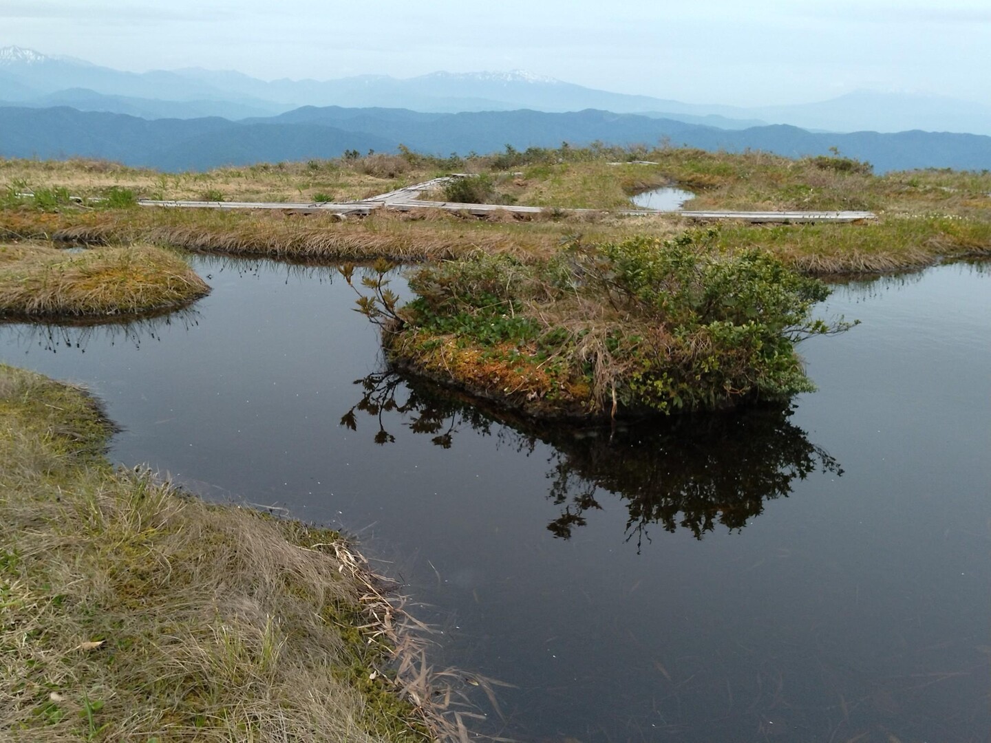 白木峰 / kumaさんの白木峰・小白木峰の活動データ | YAMAP / ヤマップ