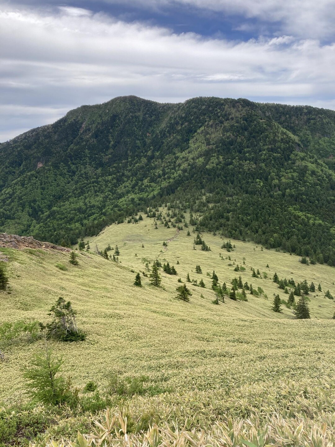 20240622 根子岳・四阿山 / Ryさんの四阿山・根子岳の活動データ | YAMAP / ヤマップ
